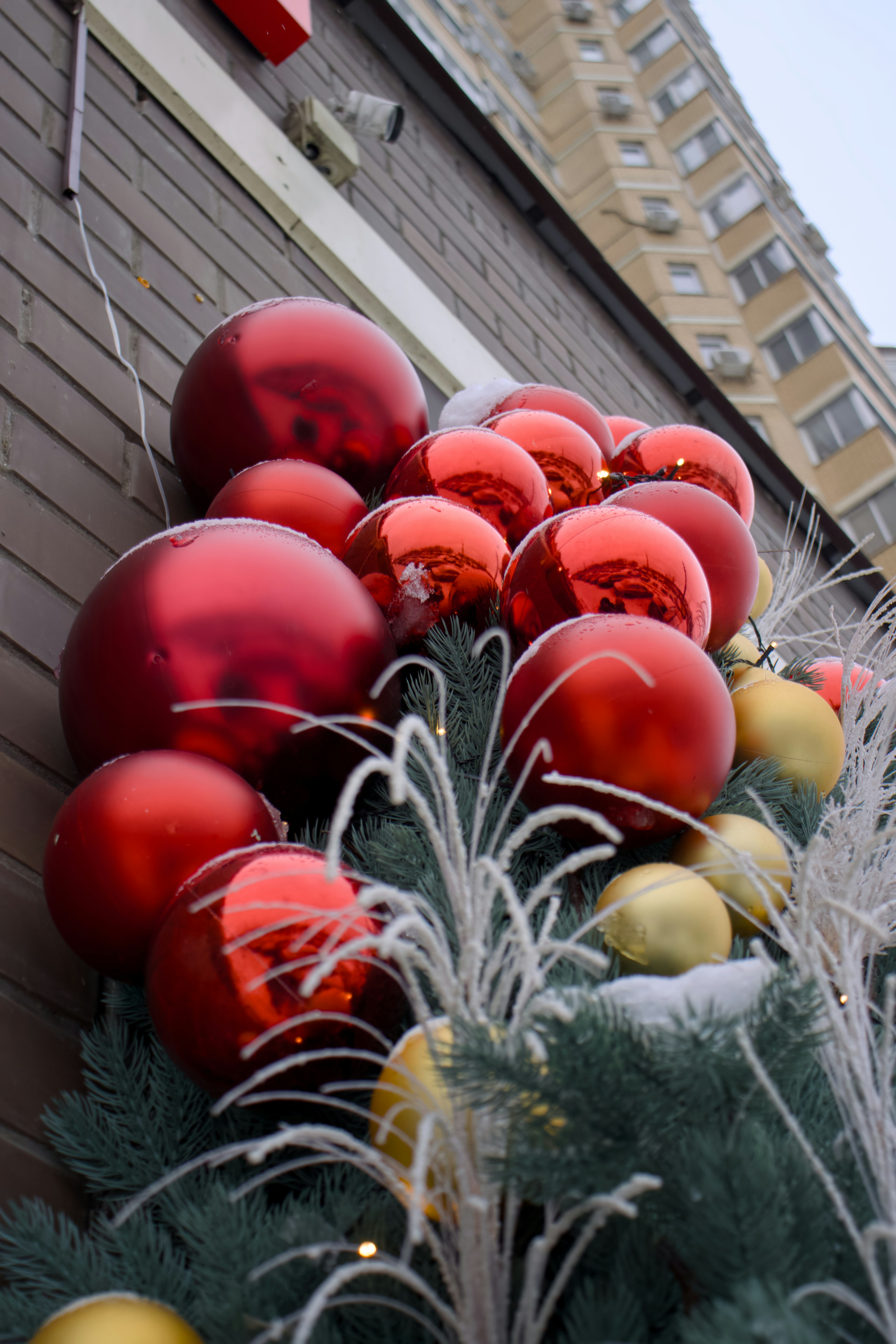 Vertical Holiday Spirit: Red Orbs Amid Frosted Branches
