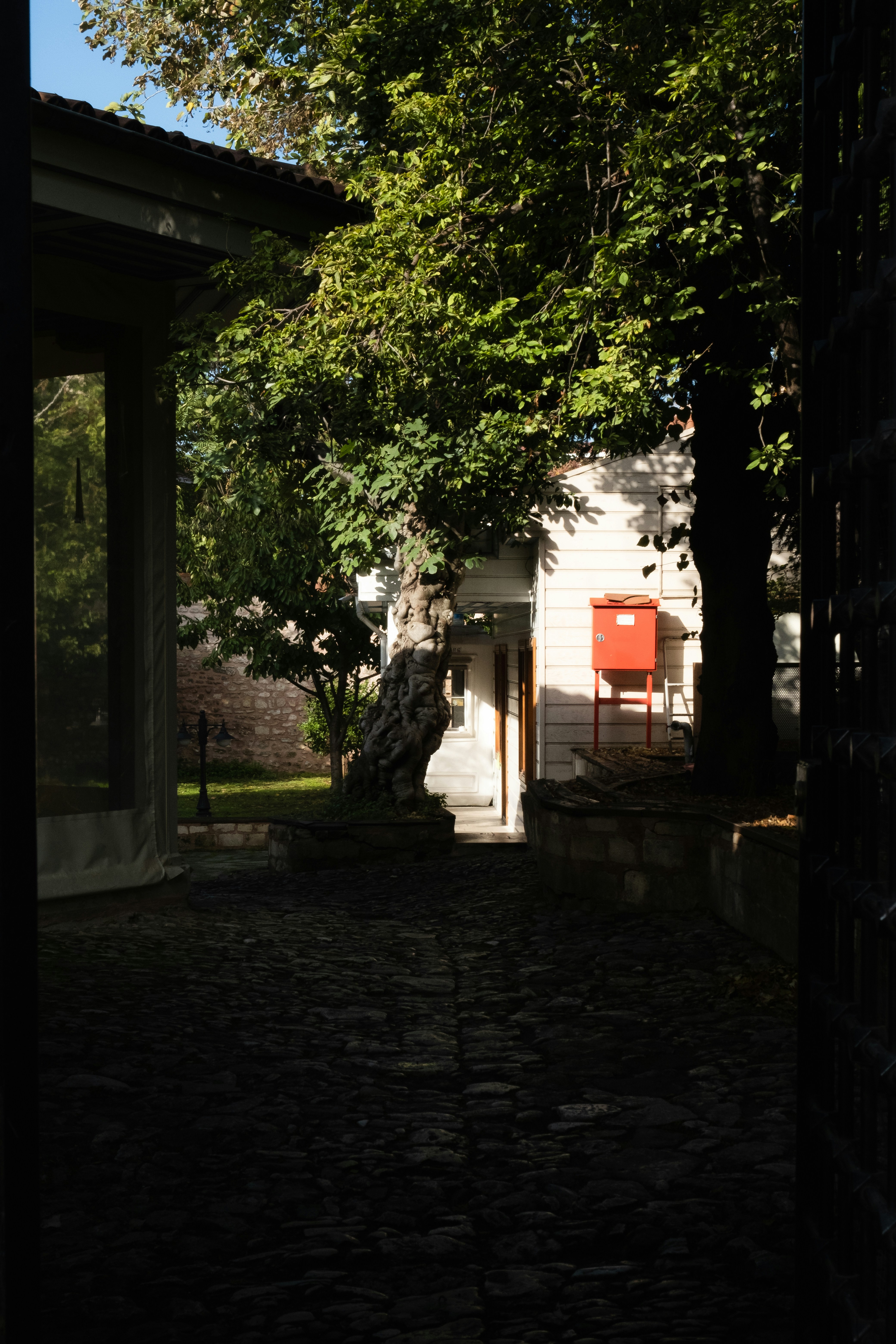 Light Through a Cobblestone Path to a Quiet House