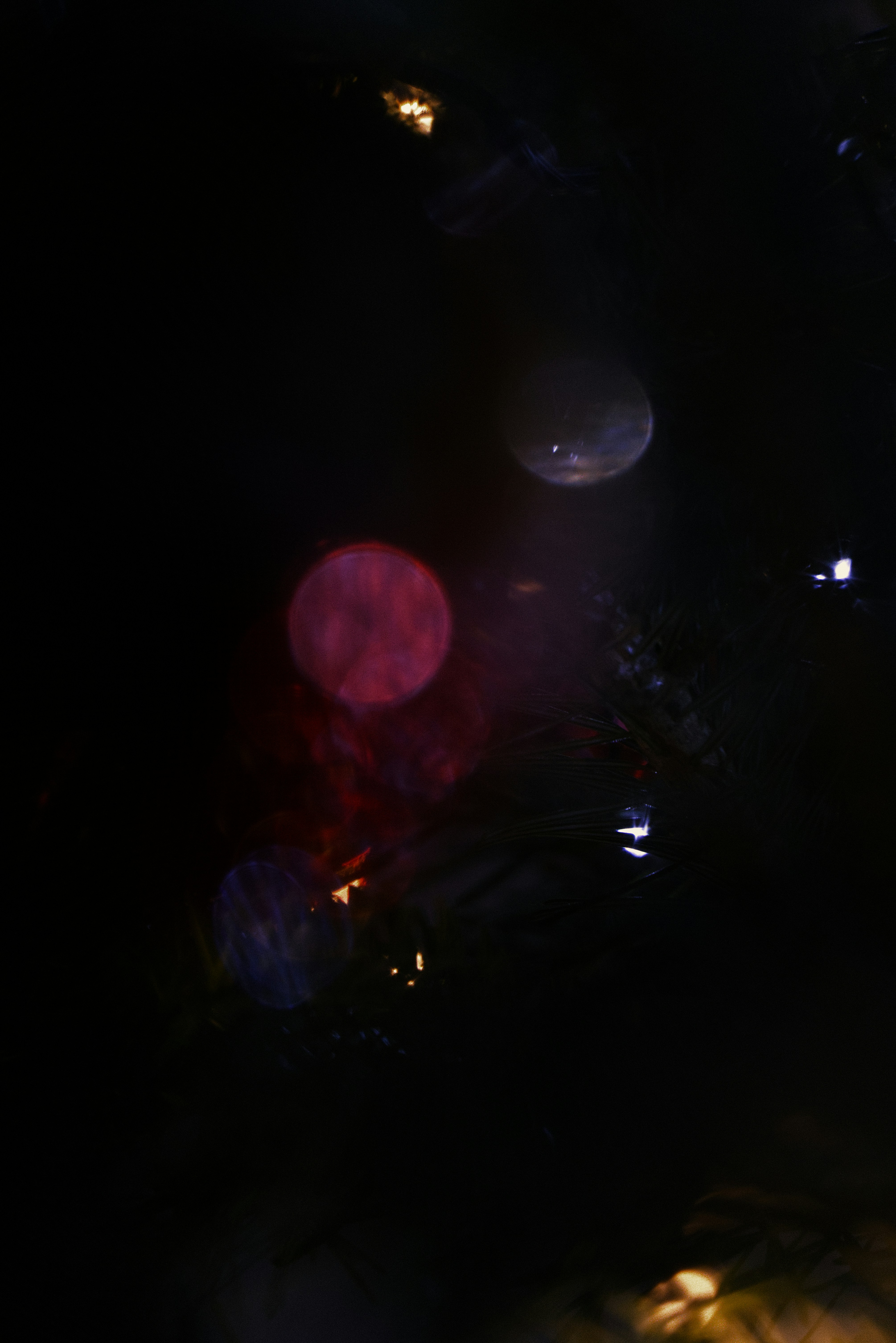 Whispers of Light in a Velvet Night
