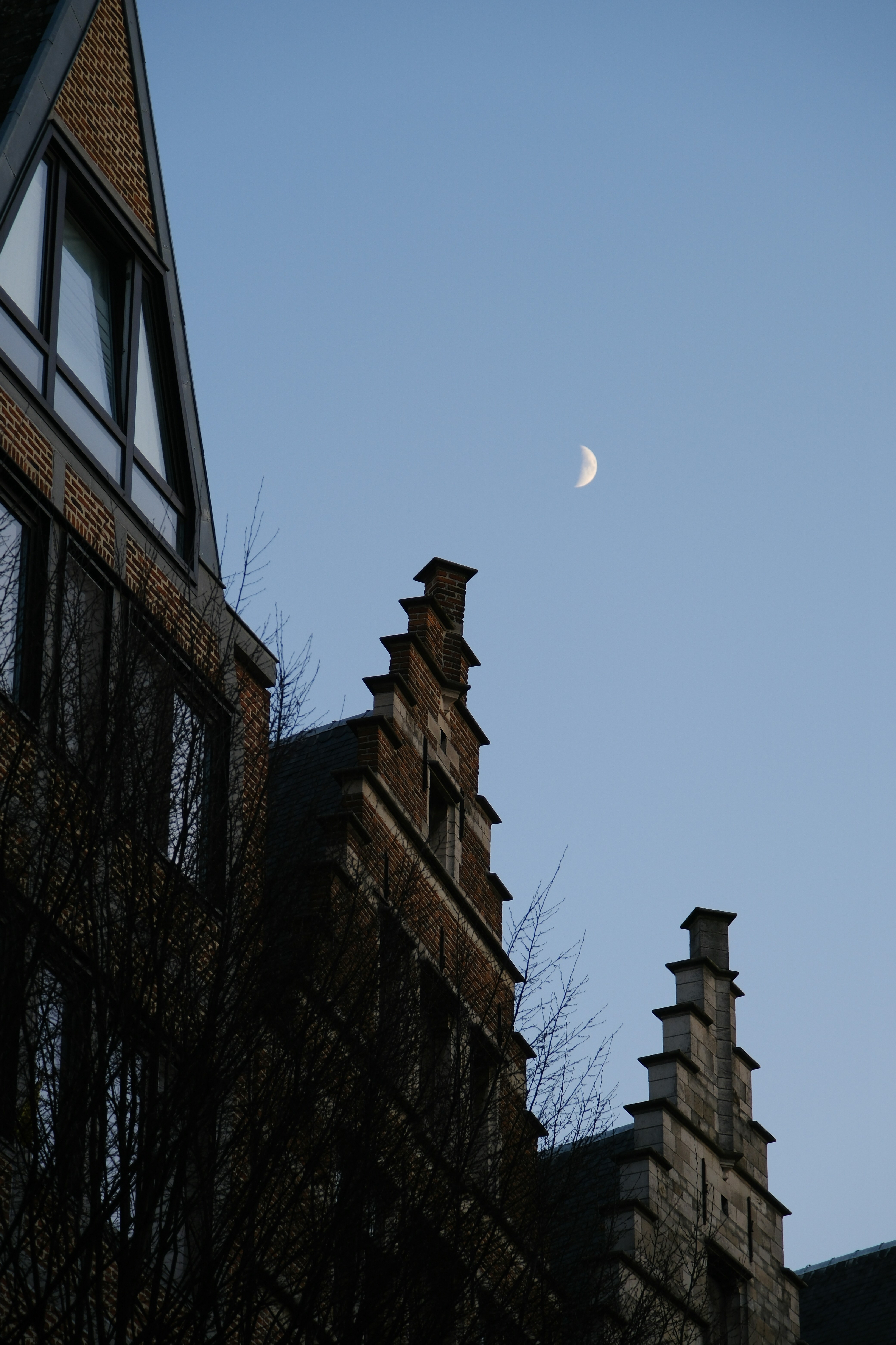 Moonlit Gables: A Quiet Sky Above Rooftops