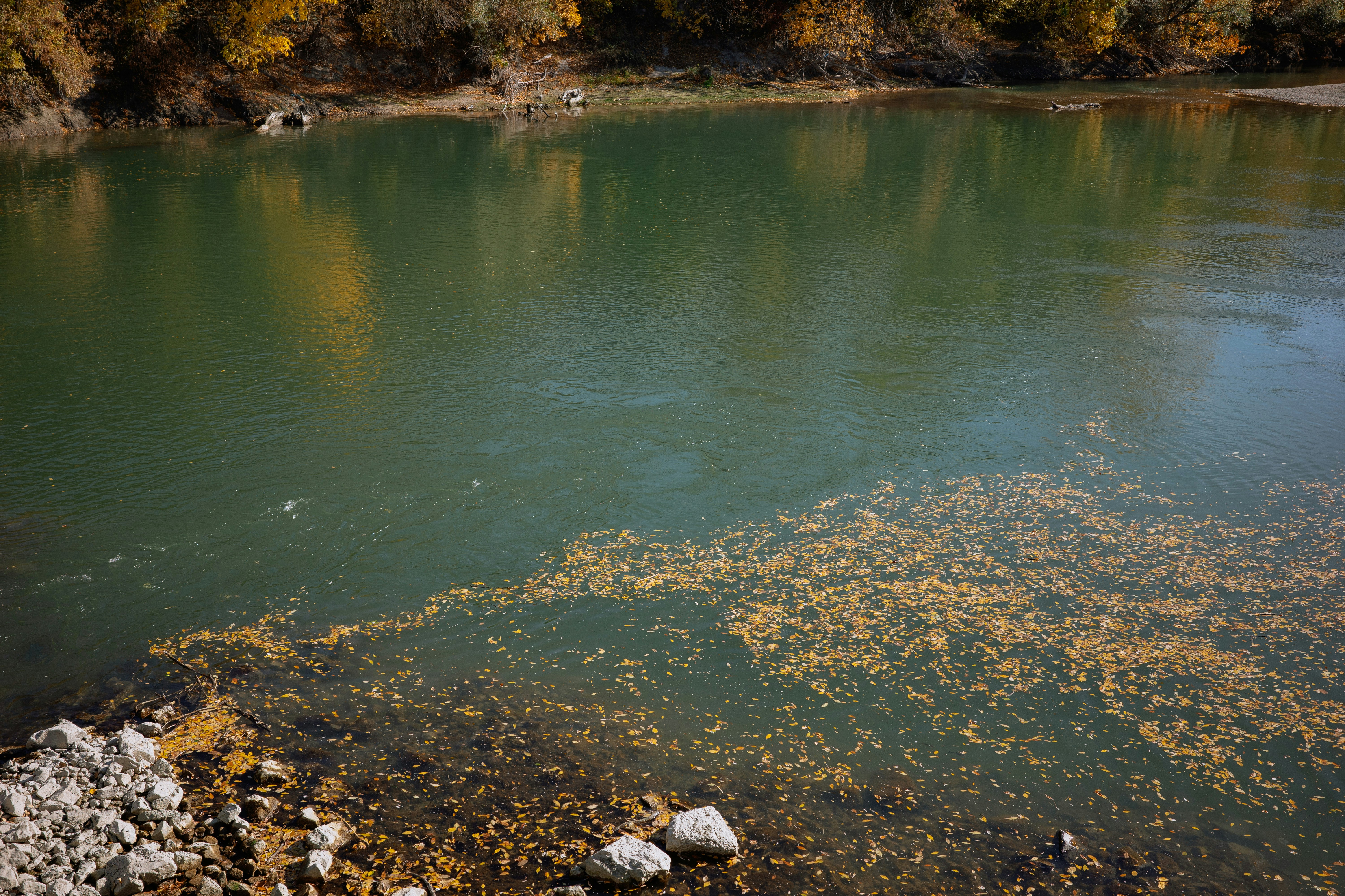 Riverbank in Autumn Hues: Turquoise Water Meets Amber Drift