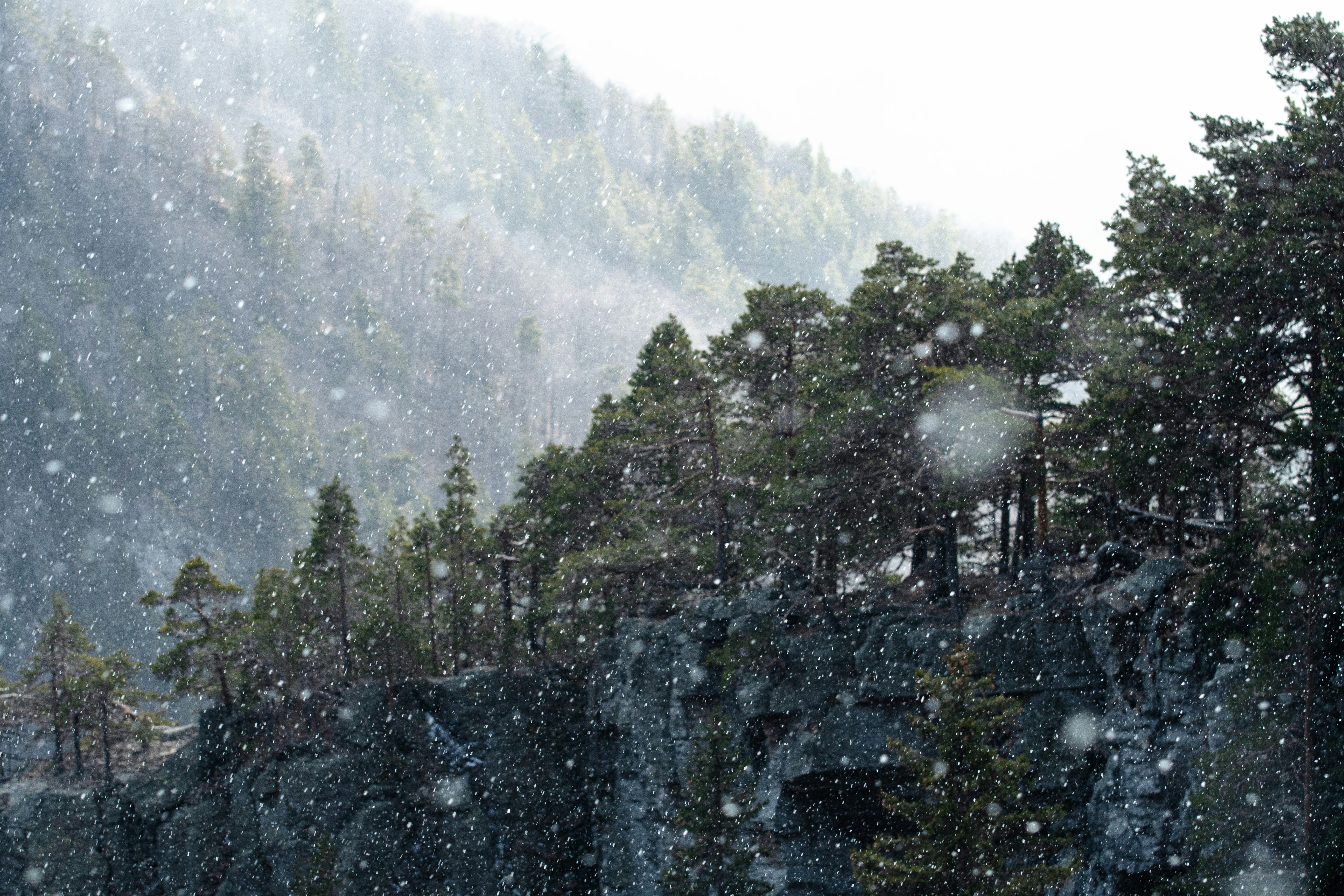Snowy hillside with dark rocky ledge and evergreen trees; softly falling snow illuminated by distant light.