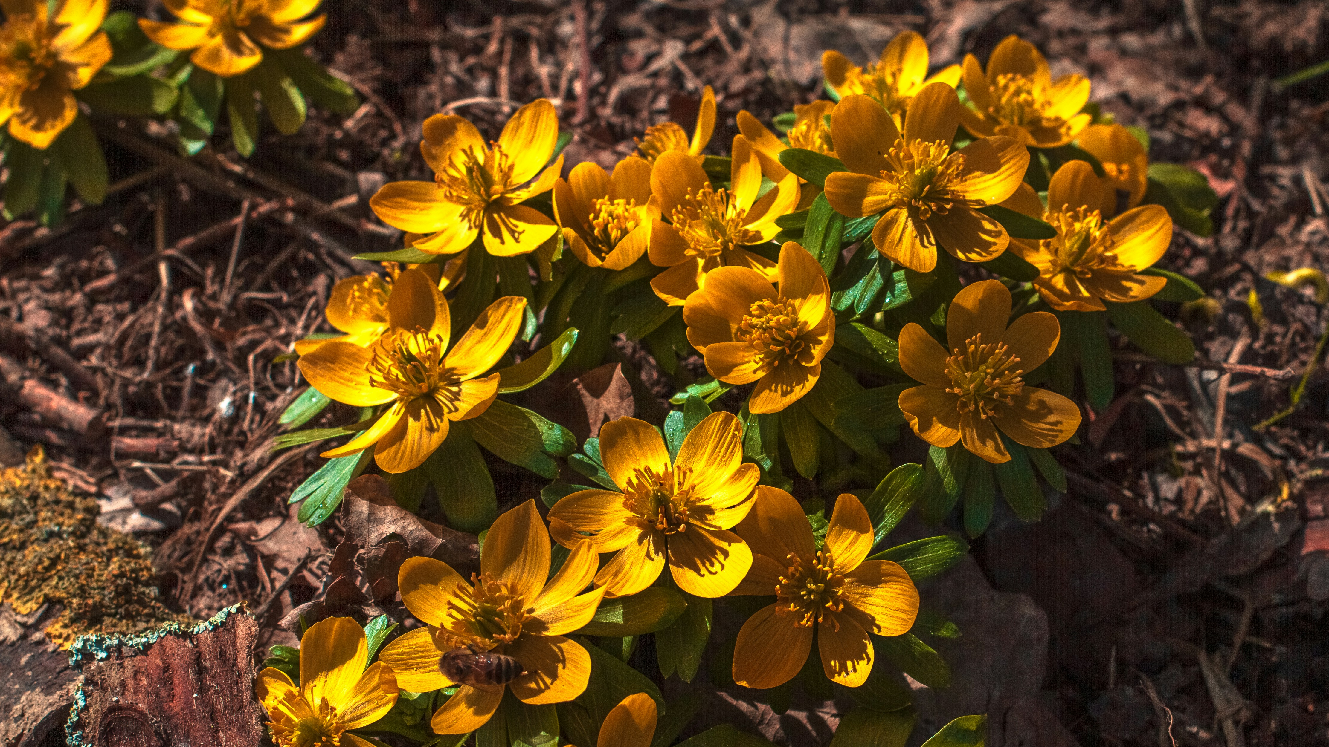 Photo by Lana with Canon EOS 7D