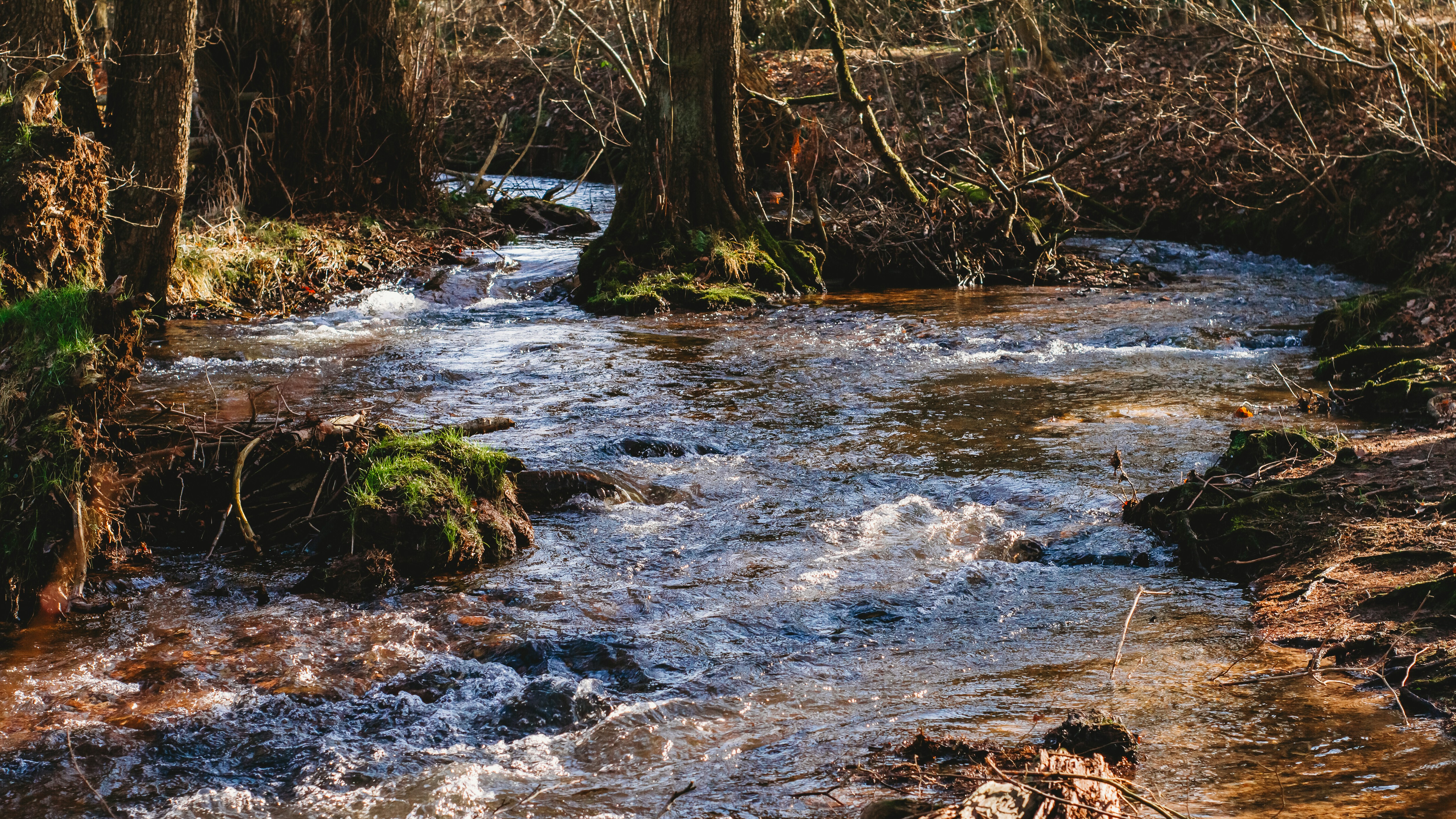 Photo by Lana with Canon EOS 7D