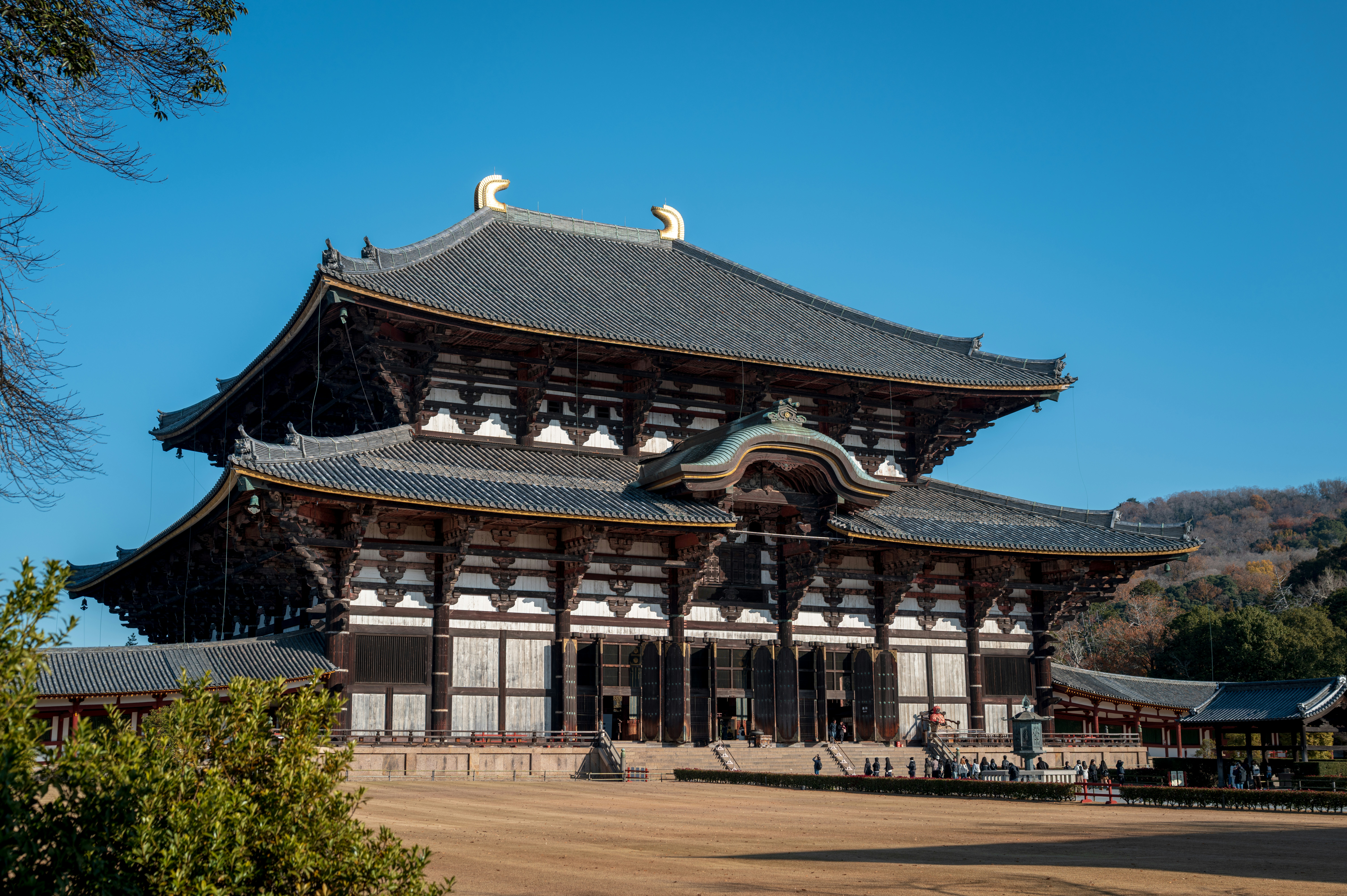 Photo by Sung Jin Cho with Leica Q3 43