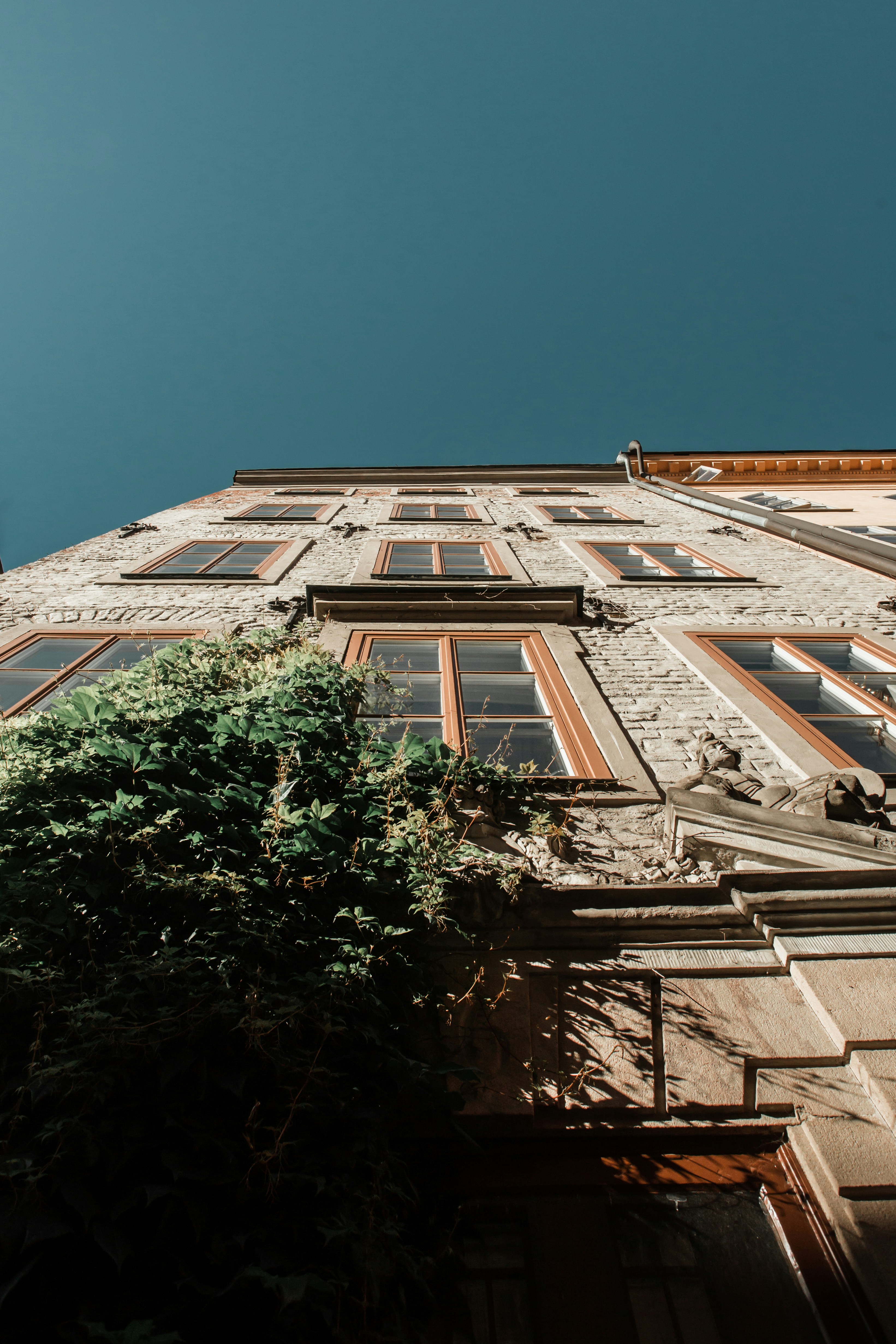 Photo by Enis with Canon EOS 5D Mark III