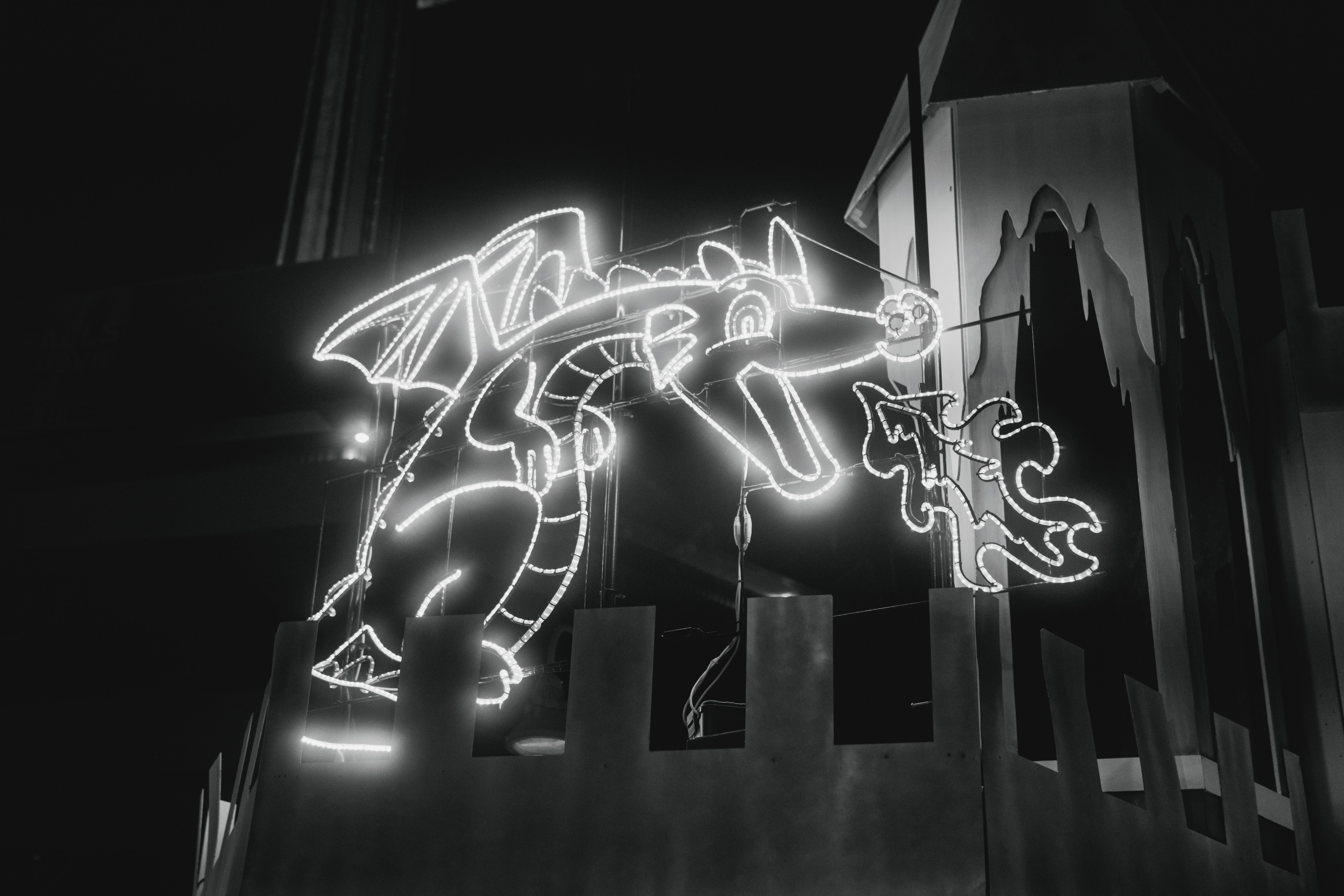 Ryan Collins (@swoll_fadder) | Comunidade de fotos da Unsplash