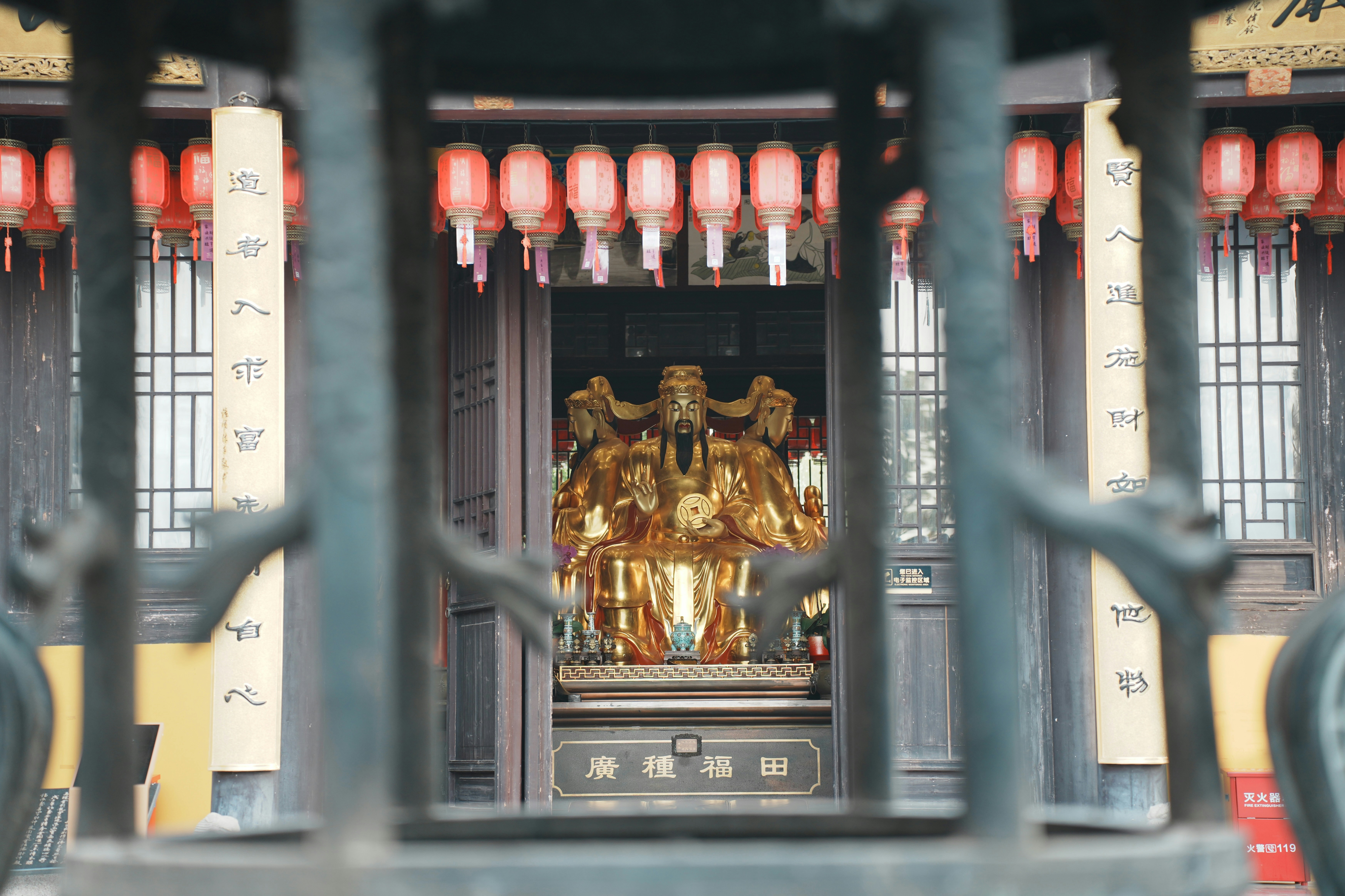 Golden Guardian Framed by Lanterns: A Shrine's Hidden Gaze