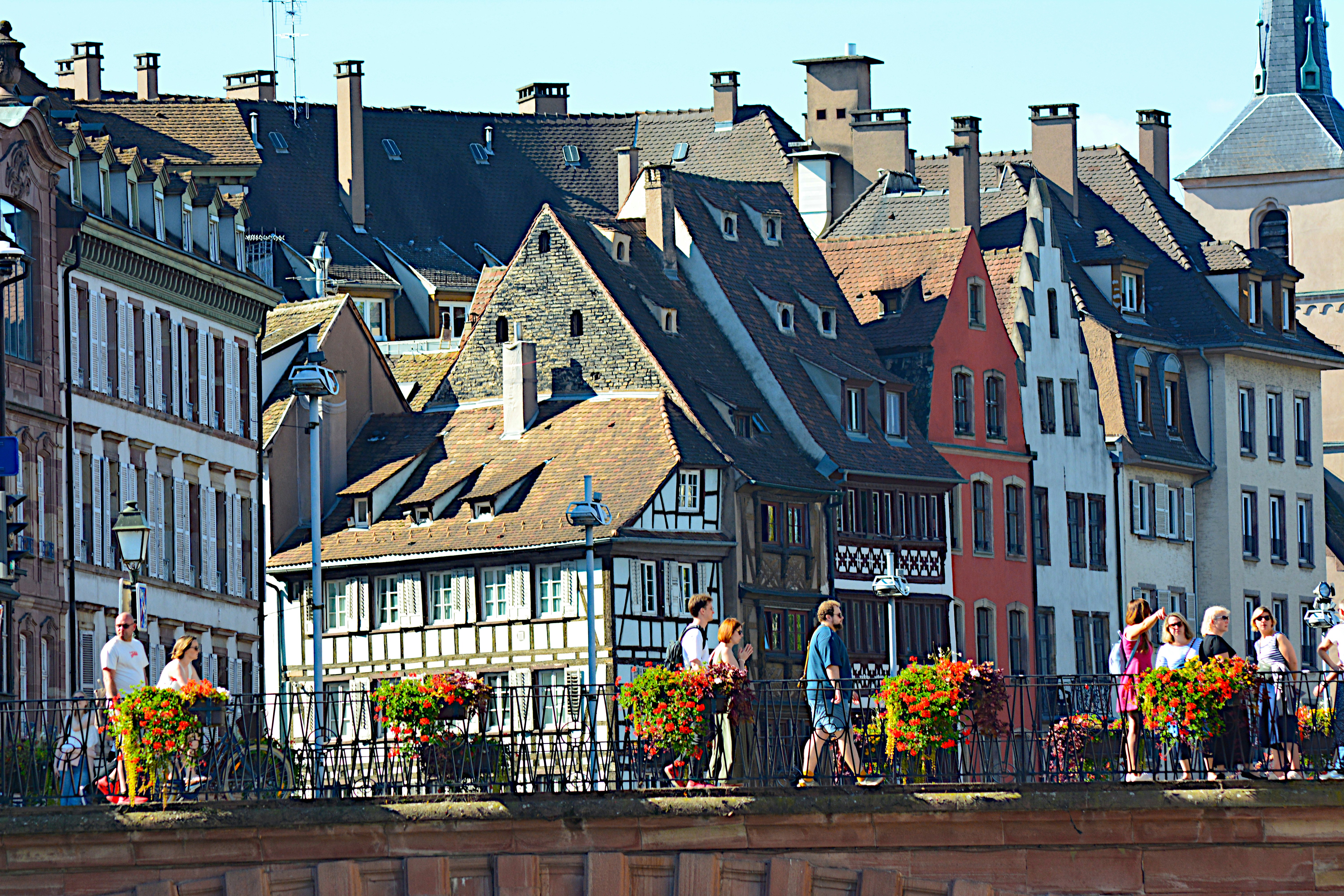 Charming riverside street of timbered facades framed by blooming planters