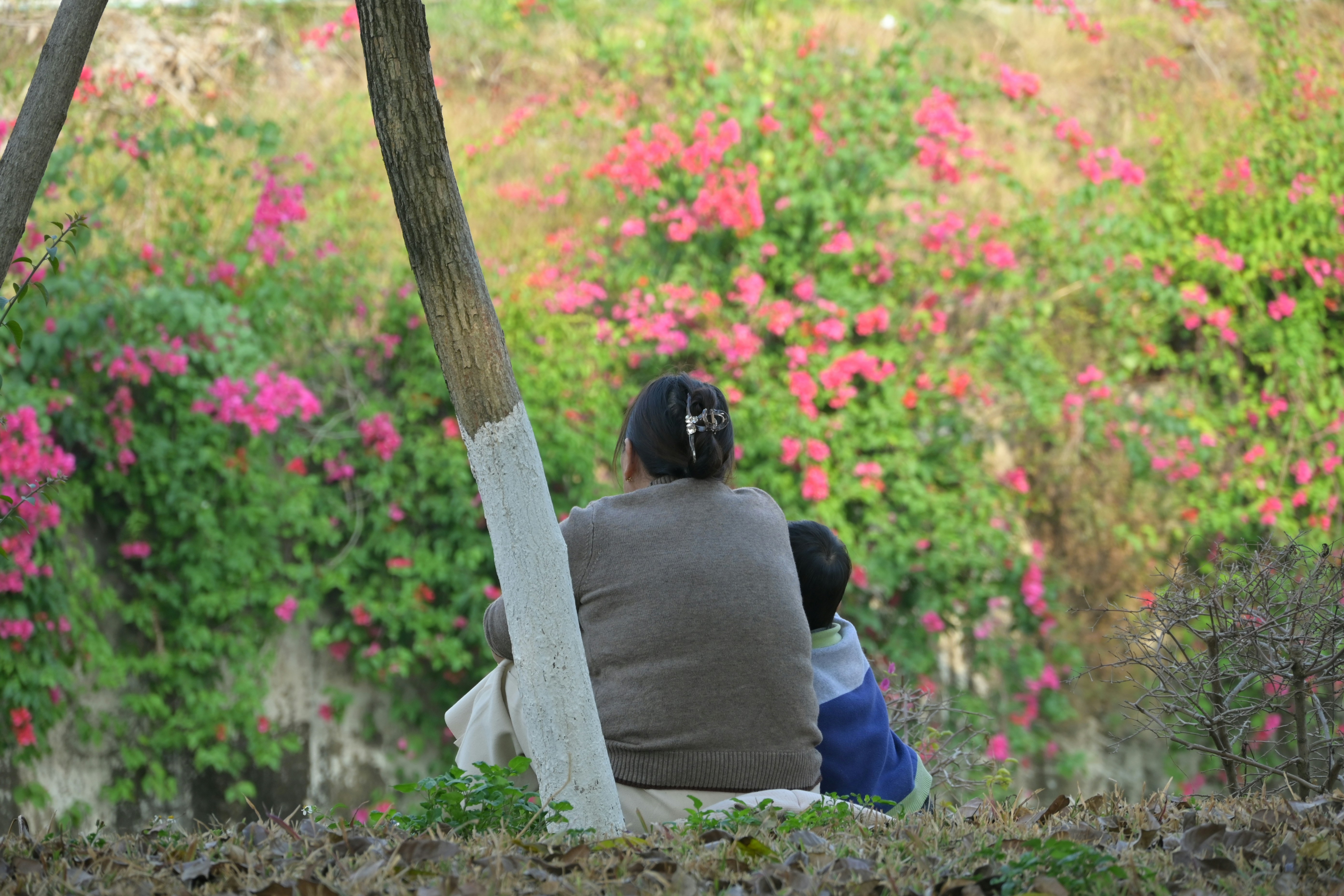 Relaxed Back to Back in a Blooming Park