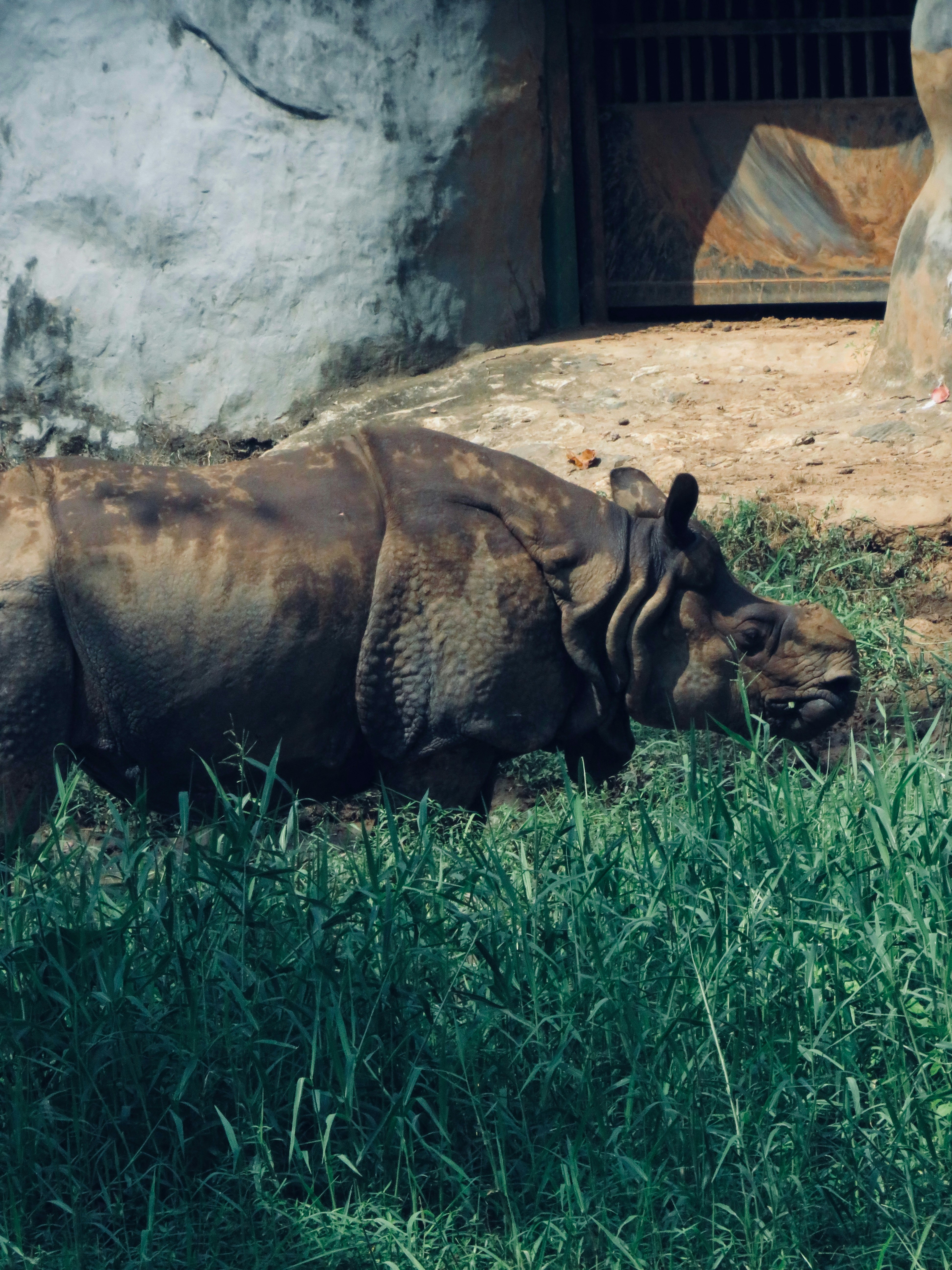 Trinayan Mohanraj (@alphontrio) | Comunidad de fotos de Unsplash