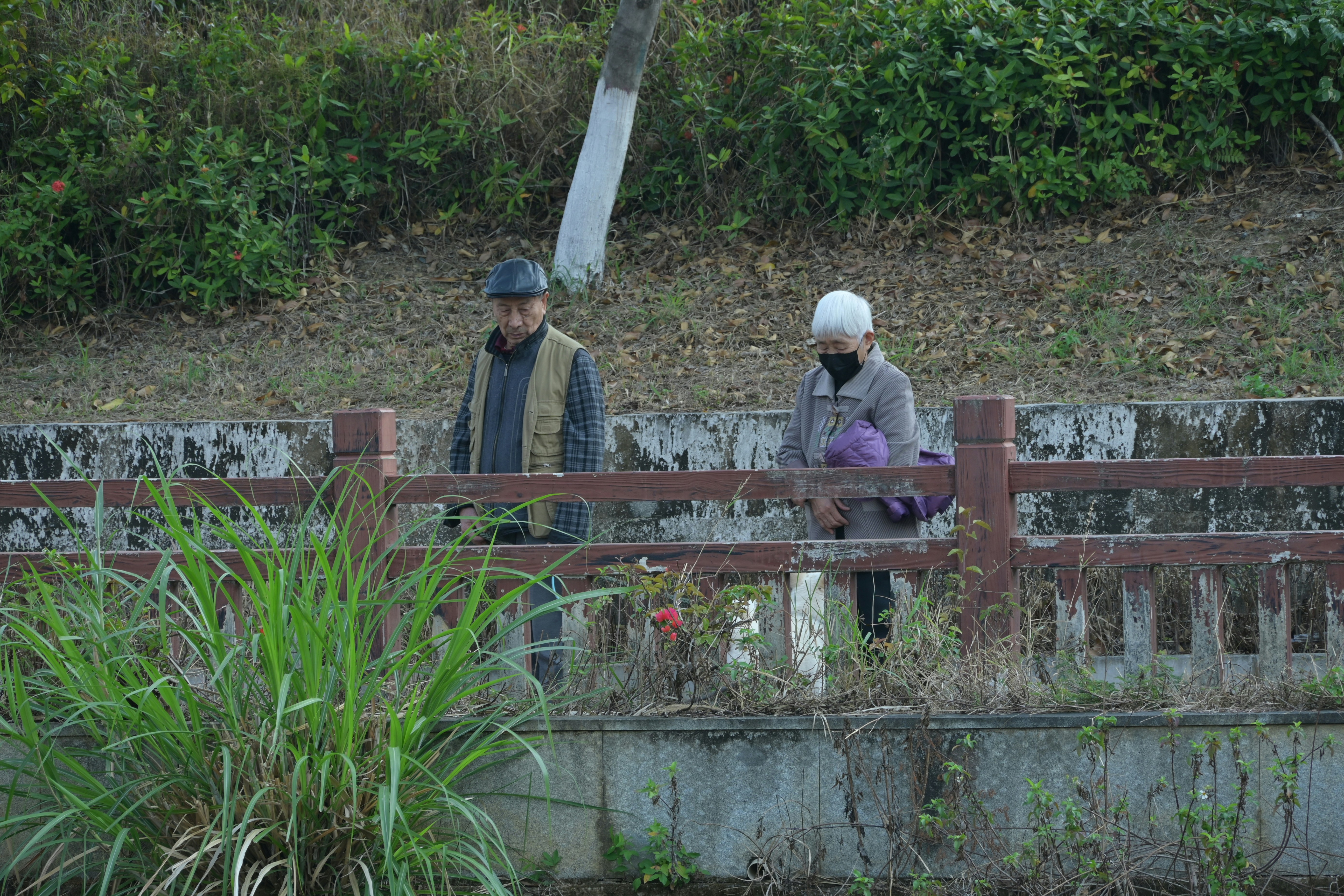 A Quiet Riverside Stroll: Two Seniors Beneath a Faint Summer Canopy