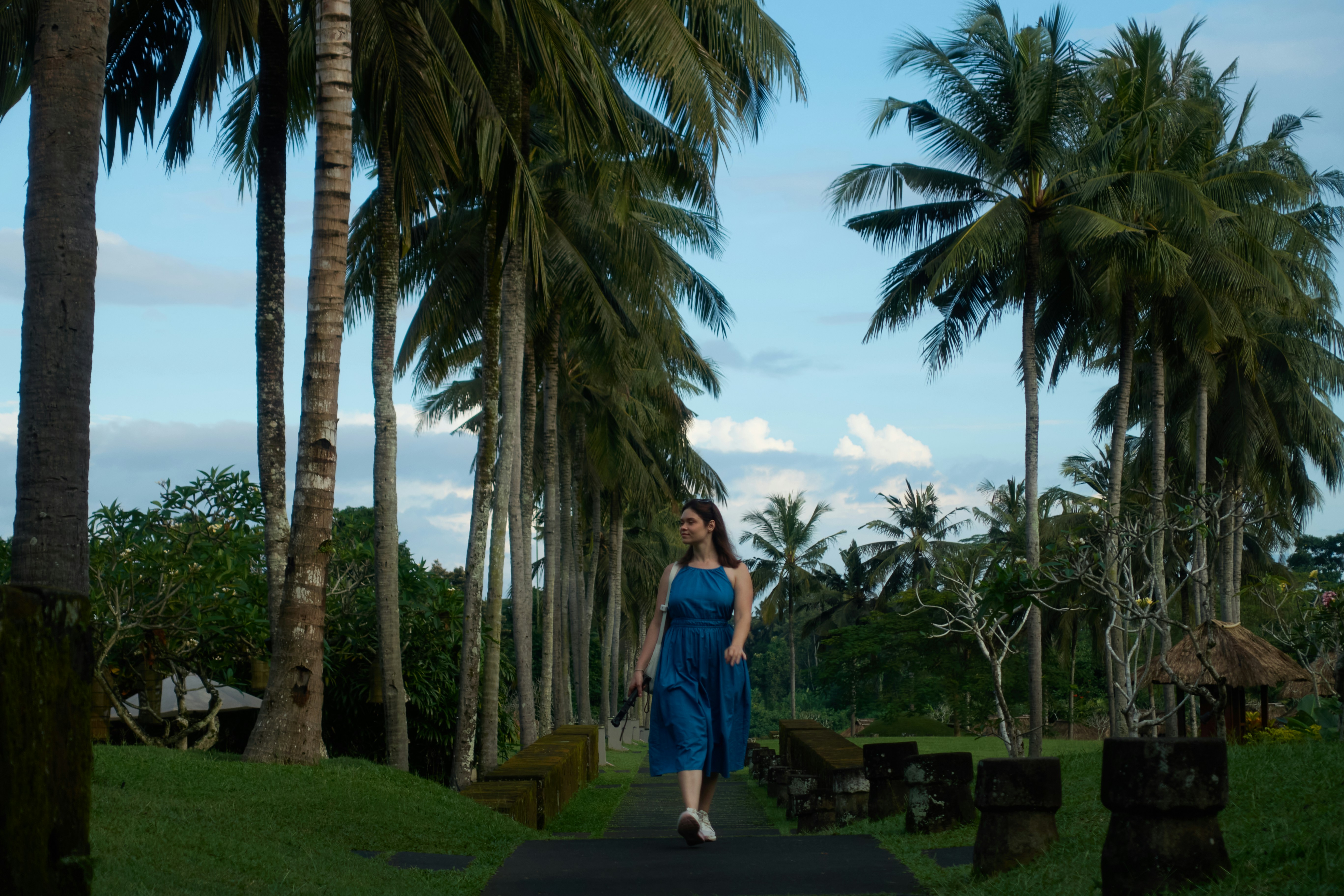 Blue Dress Under the Palm Aisle