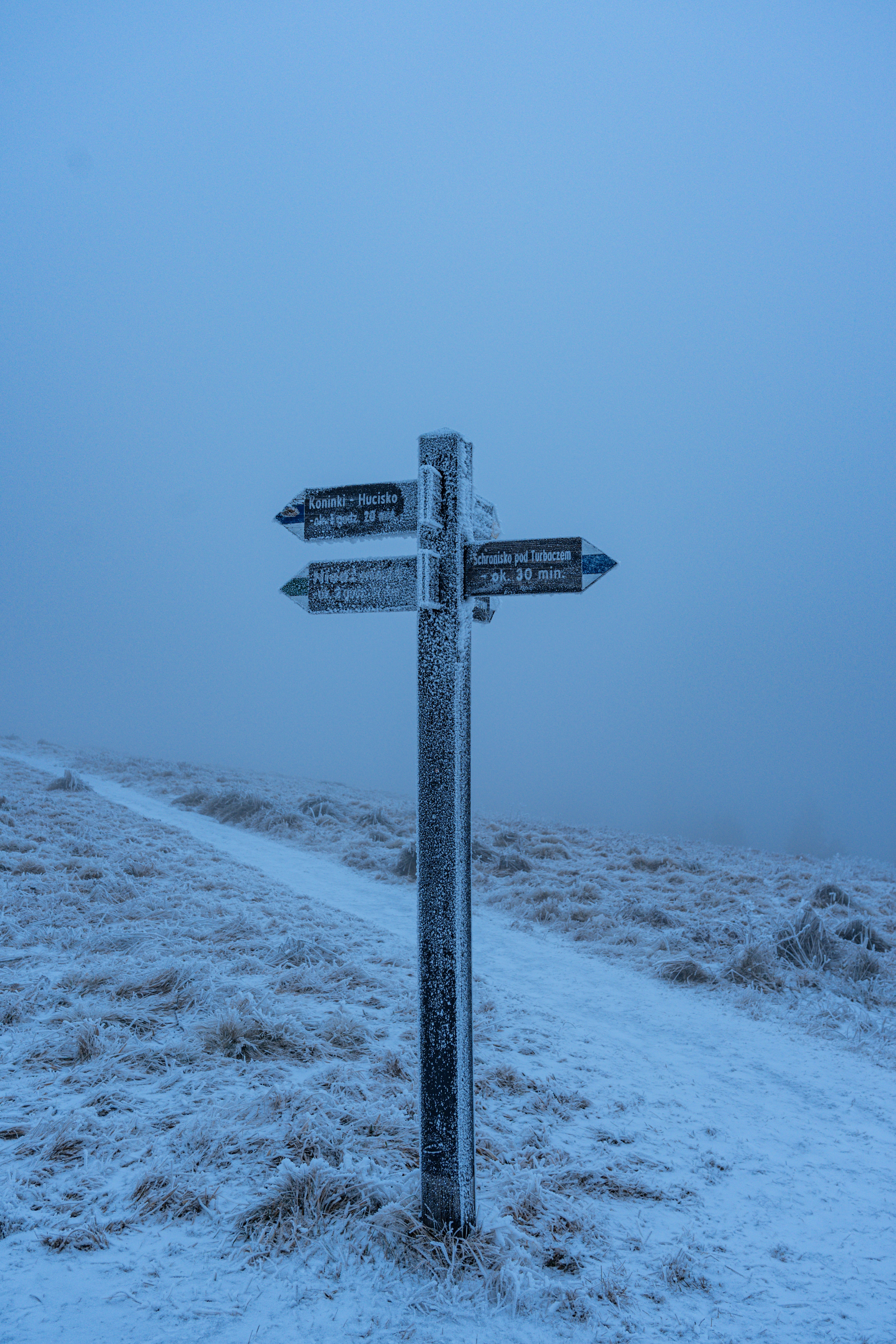 Frostbound Waypoints: A Lonely Signpost in Snowy Silence