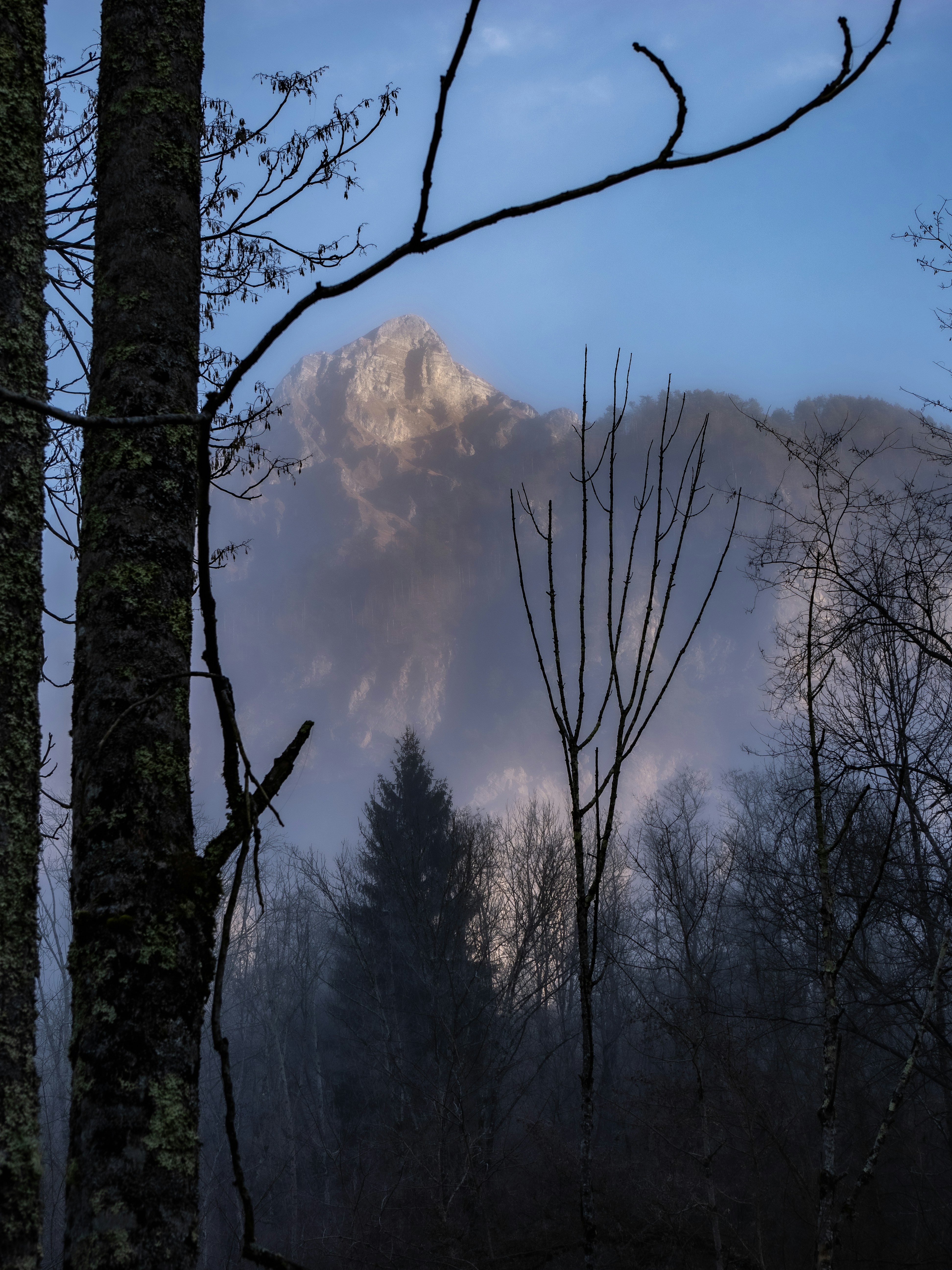 Moonlit Peak Emerges Through Misty Forest