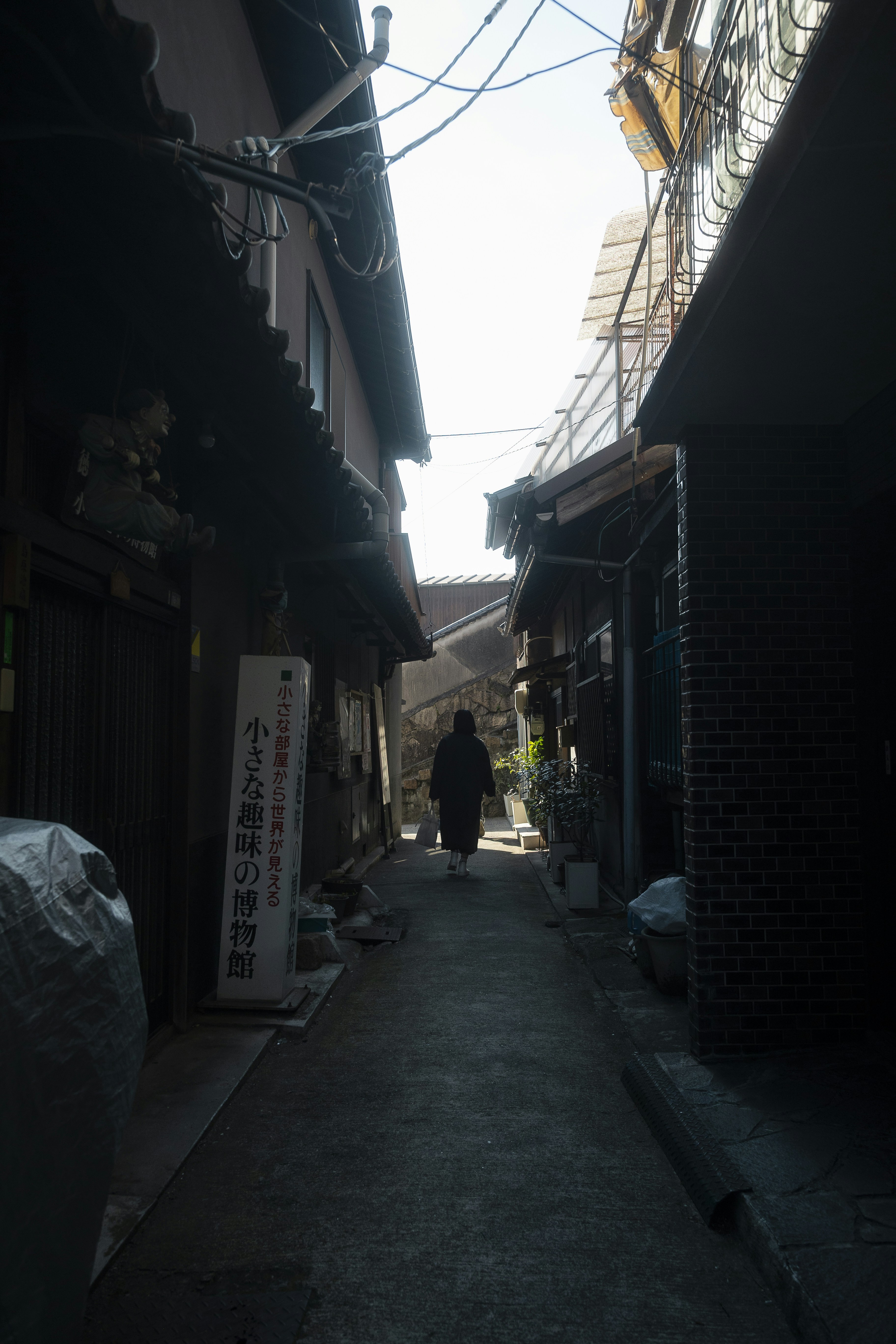 Silent Alleyway Traveler: A Narrow Path Toward the Light