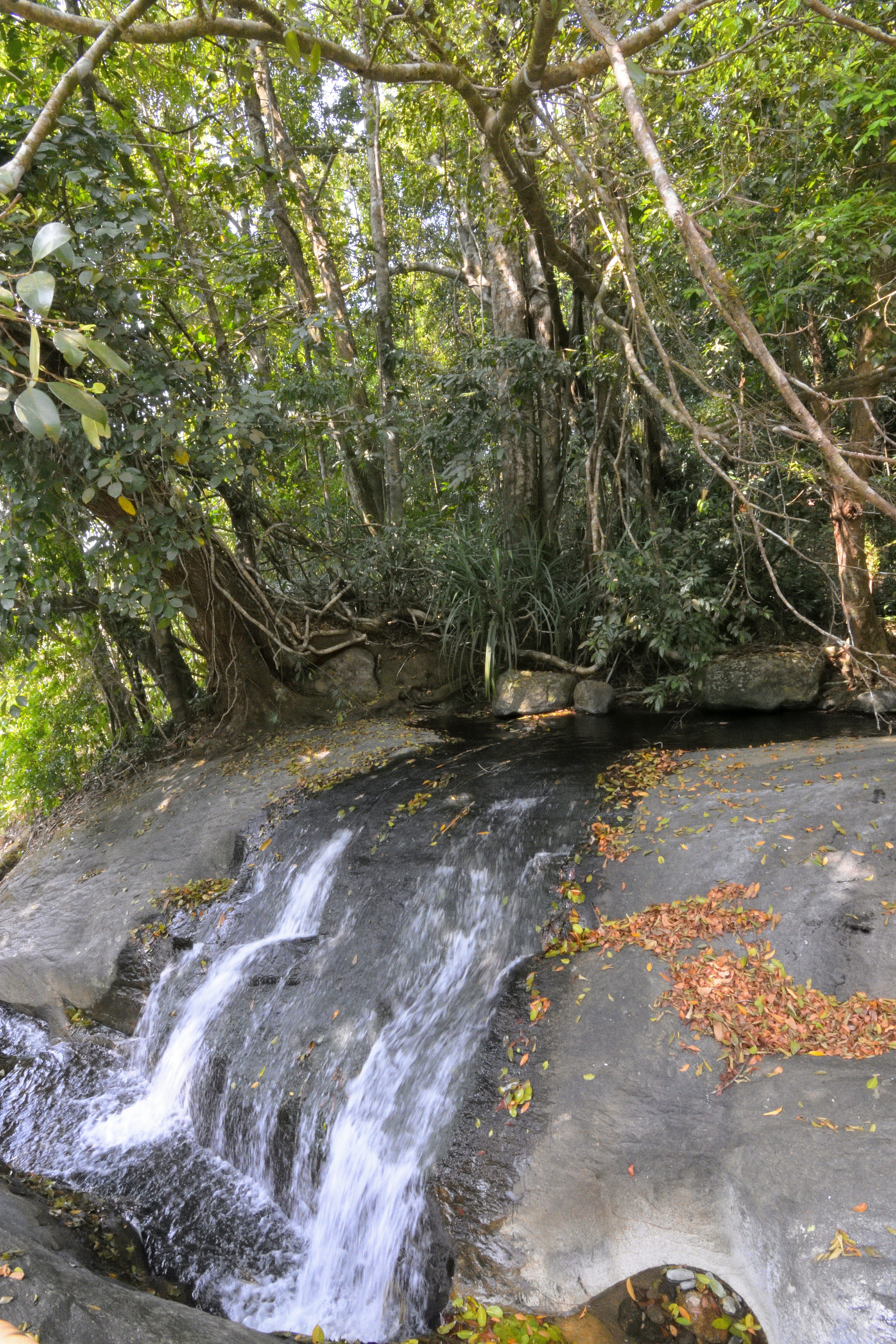 Forest Cascade Over Granite Slabs at Dappled Light