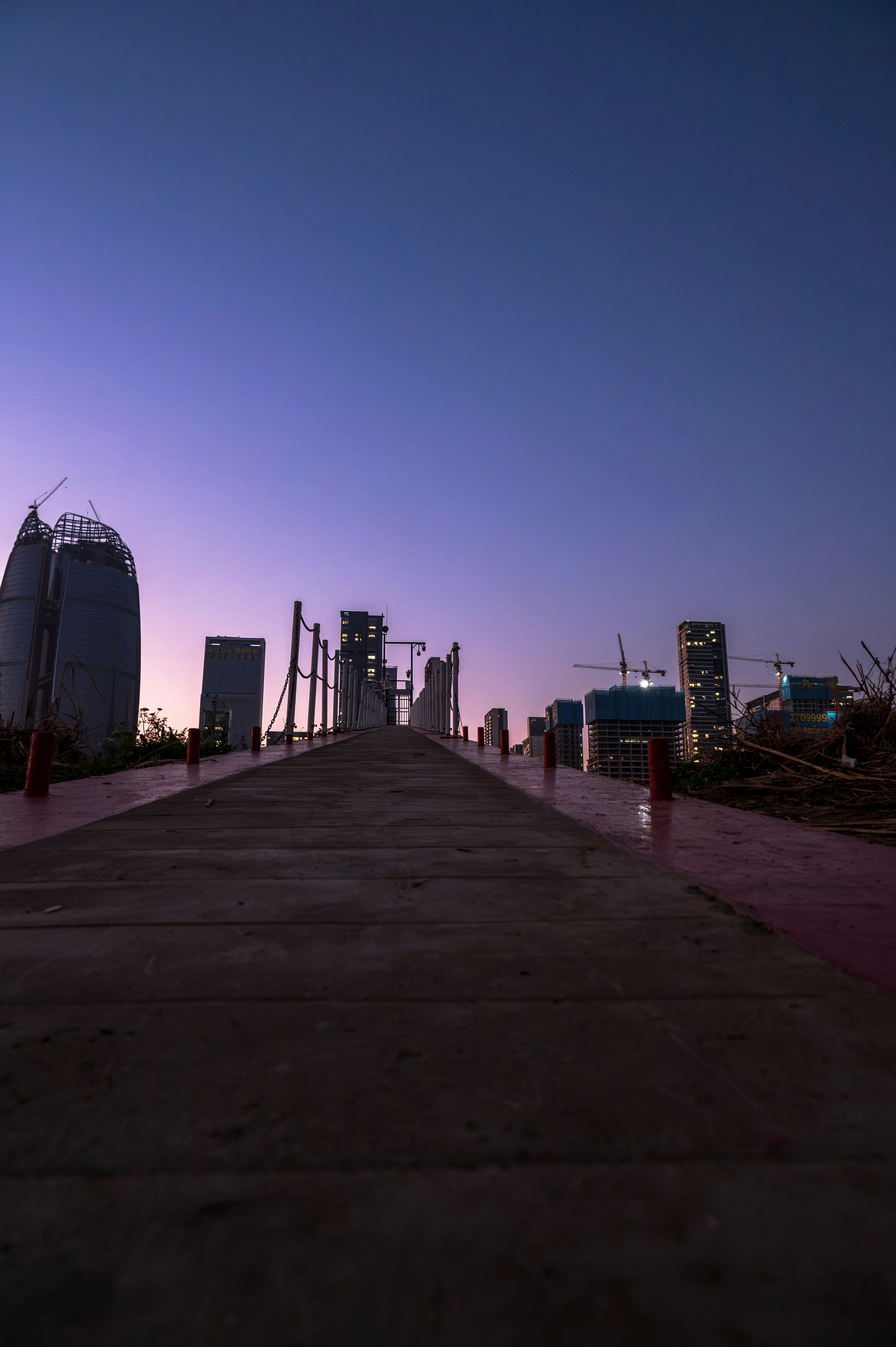 Photo by Kilian Murphy with Nikon Z6 II