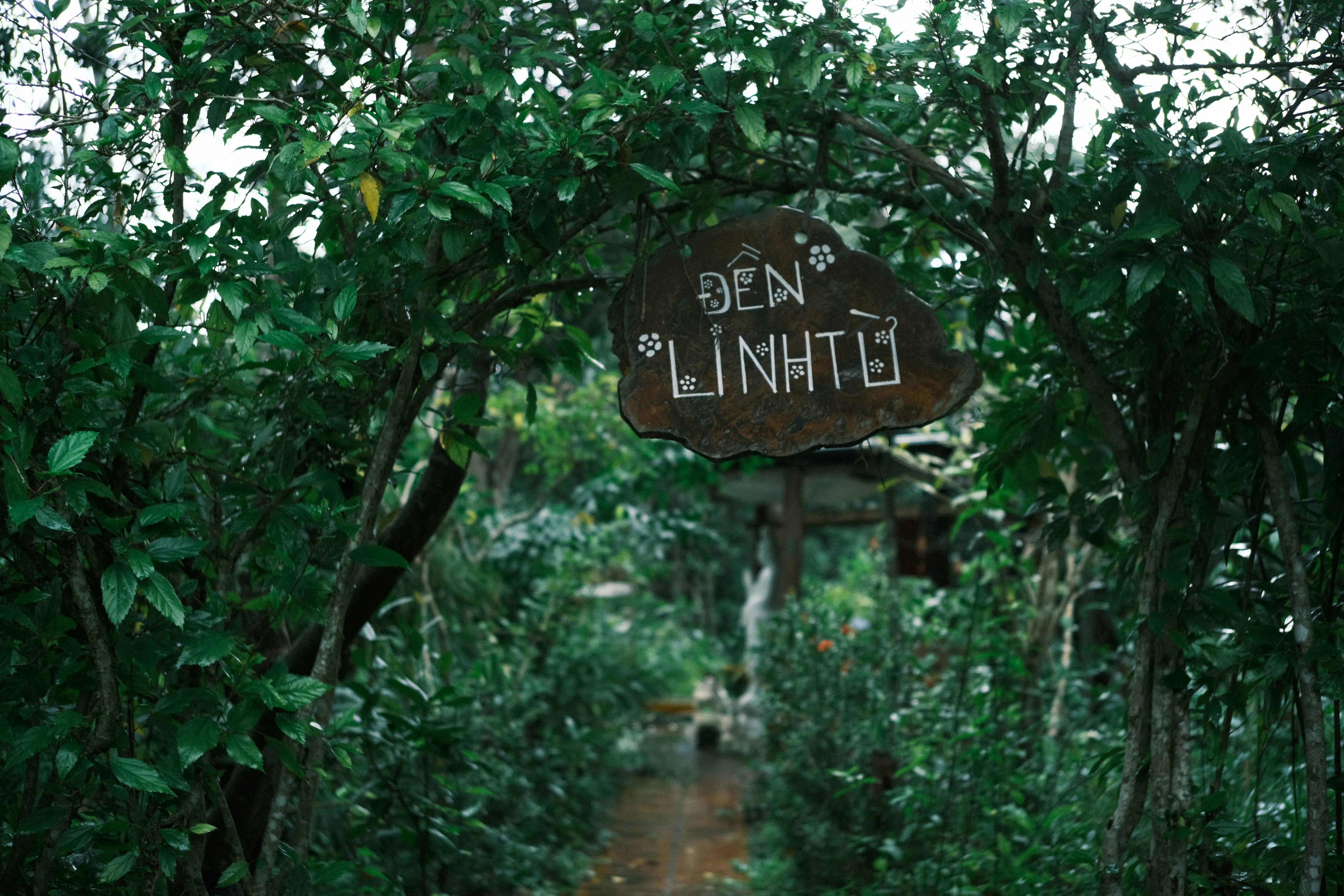Green Corridor to Ben Limti Café