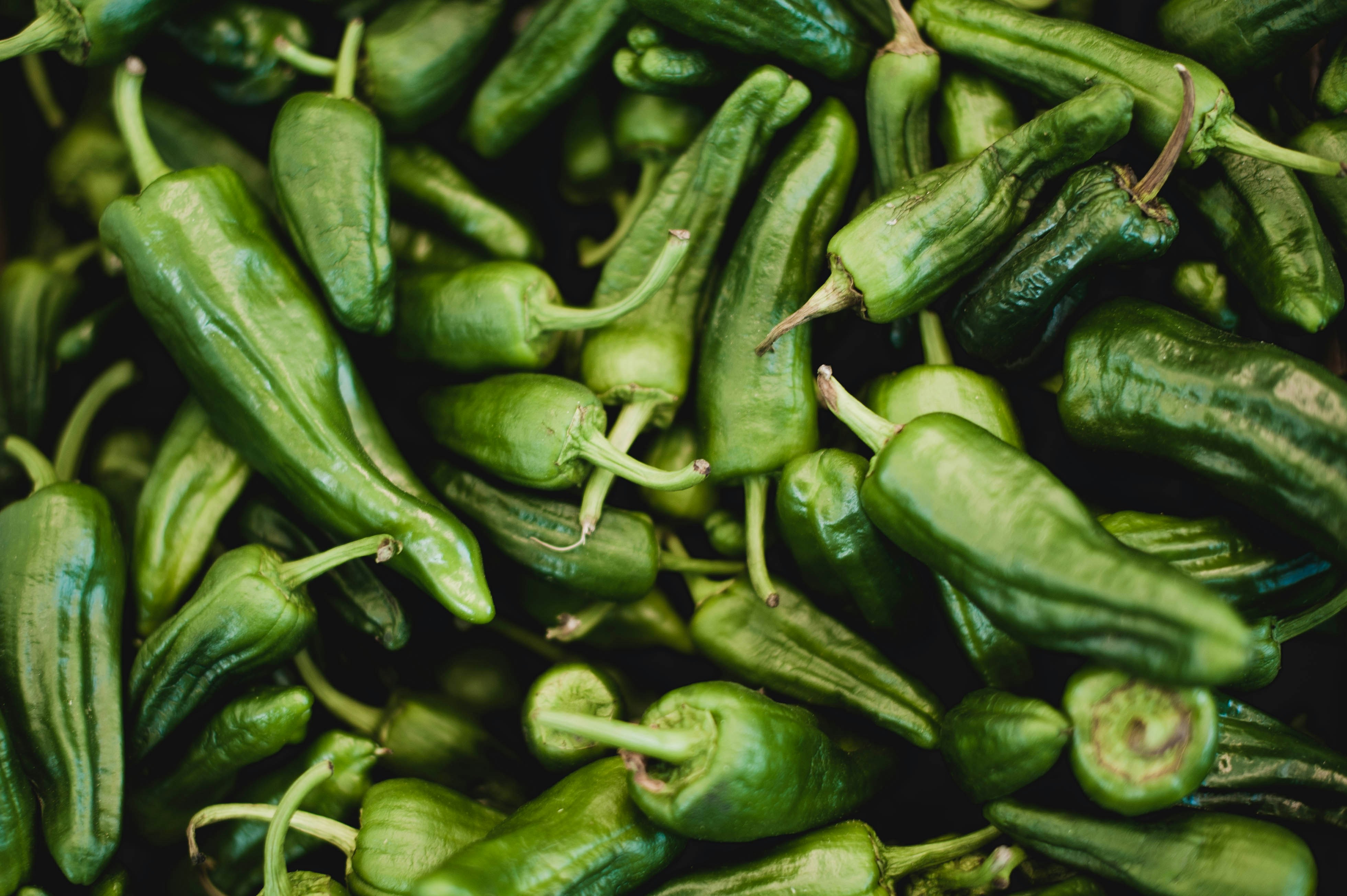 Verdant Whorl: a dense field of green chili peppers
