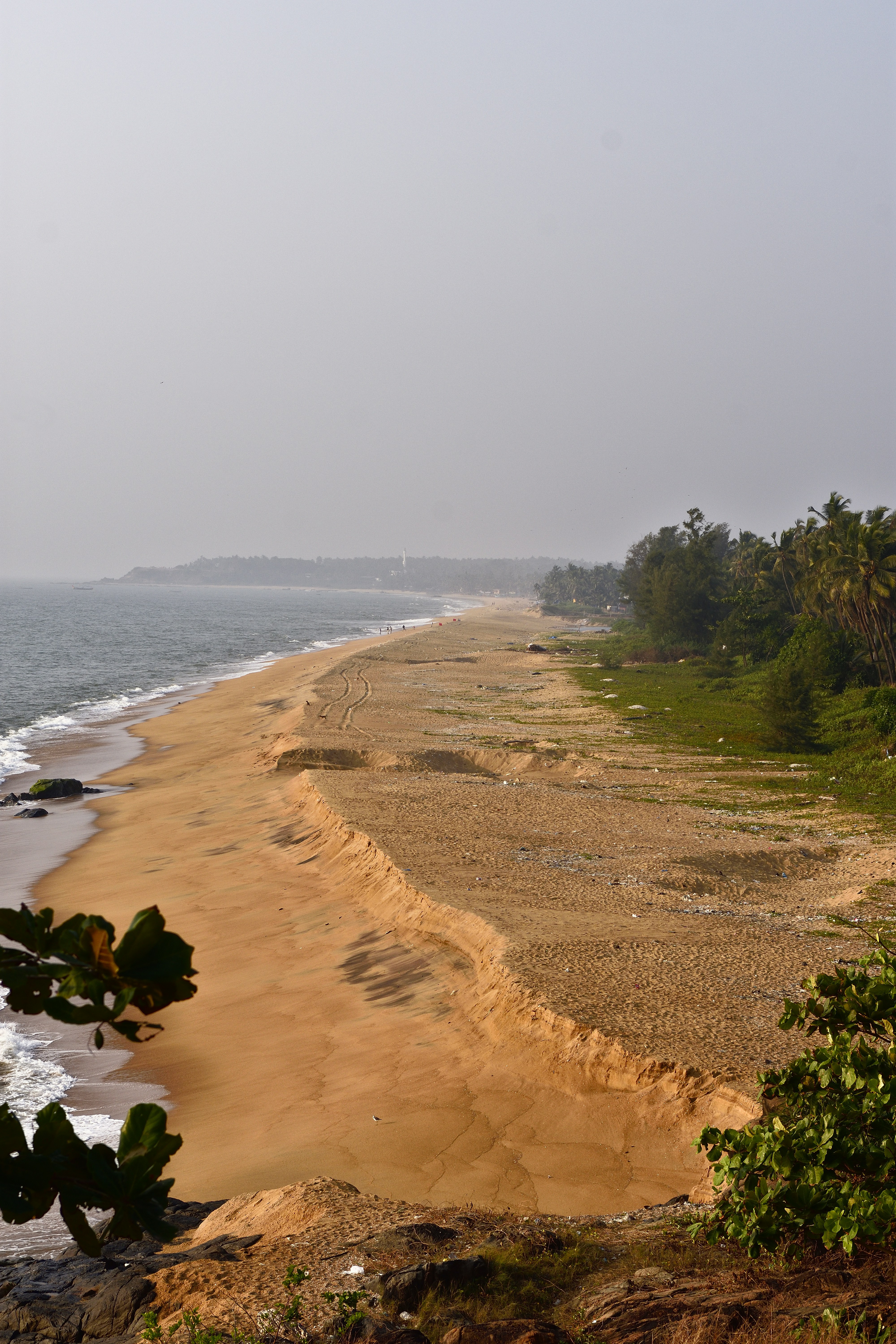 Sandy beach with ocean waves and lush green trees. photo – Free Beach ...