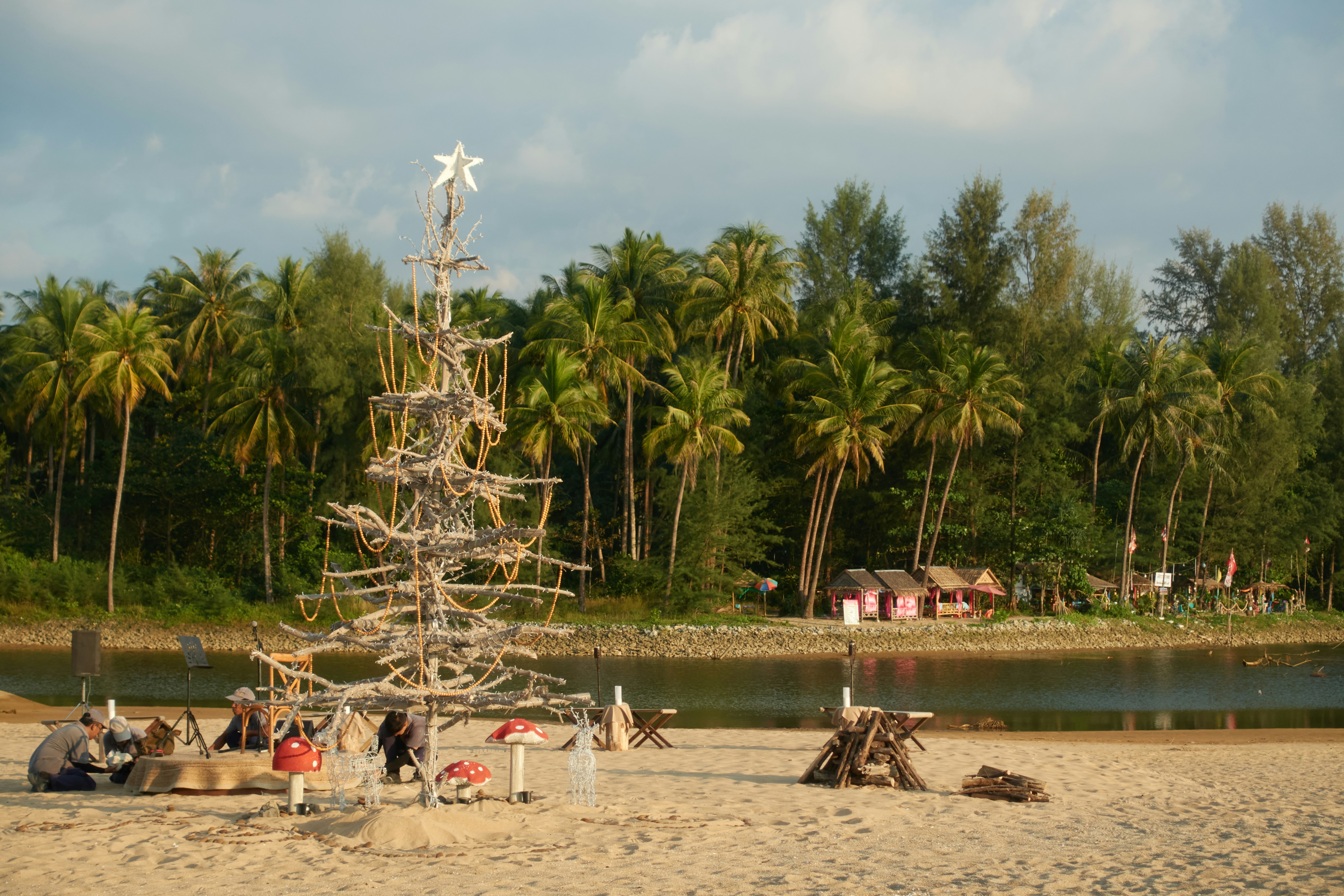 Sunlit Beach Tree Sculpture with Palm Forest Backdrop