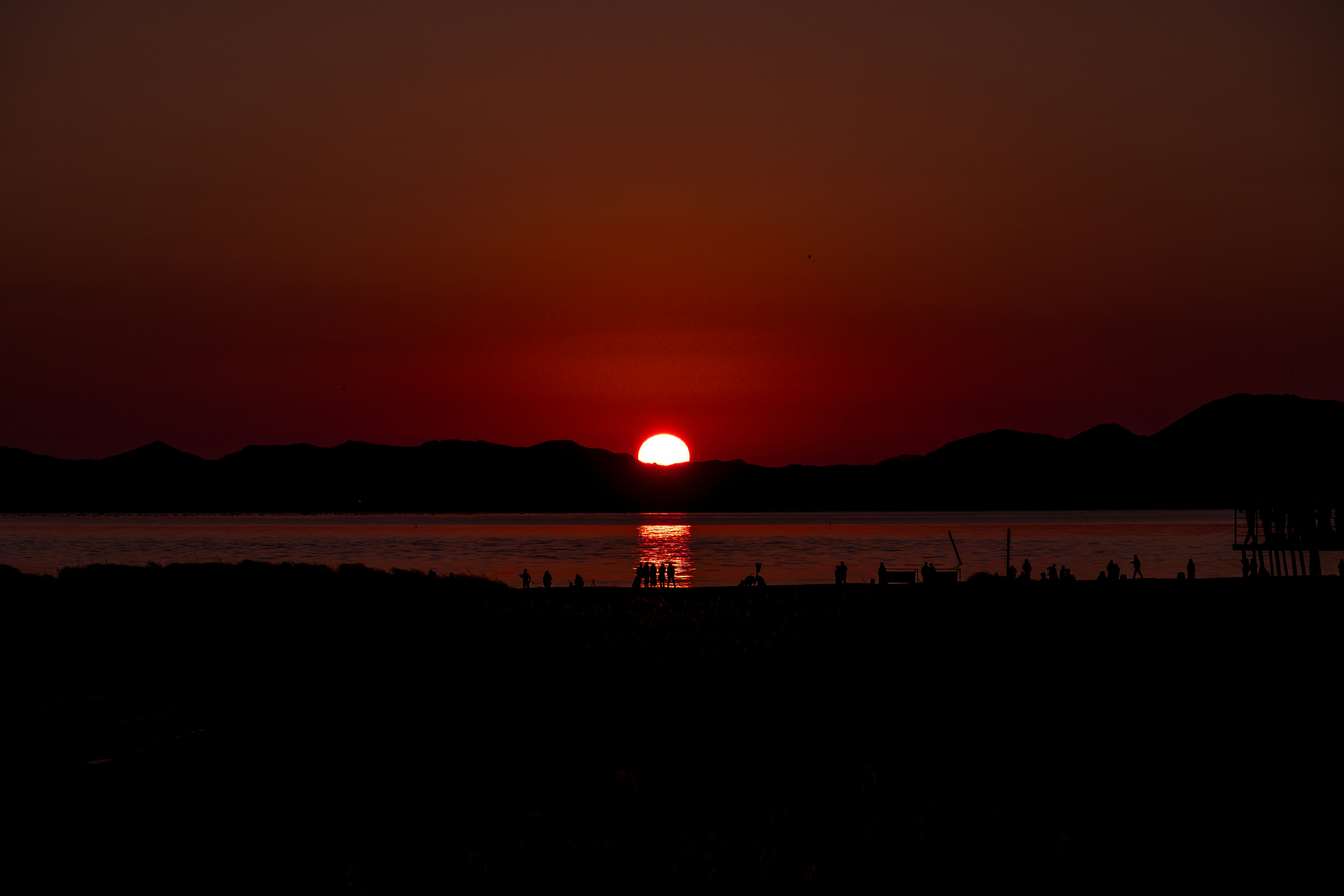 Photo by Alex Ko with Nikon Z5 II