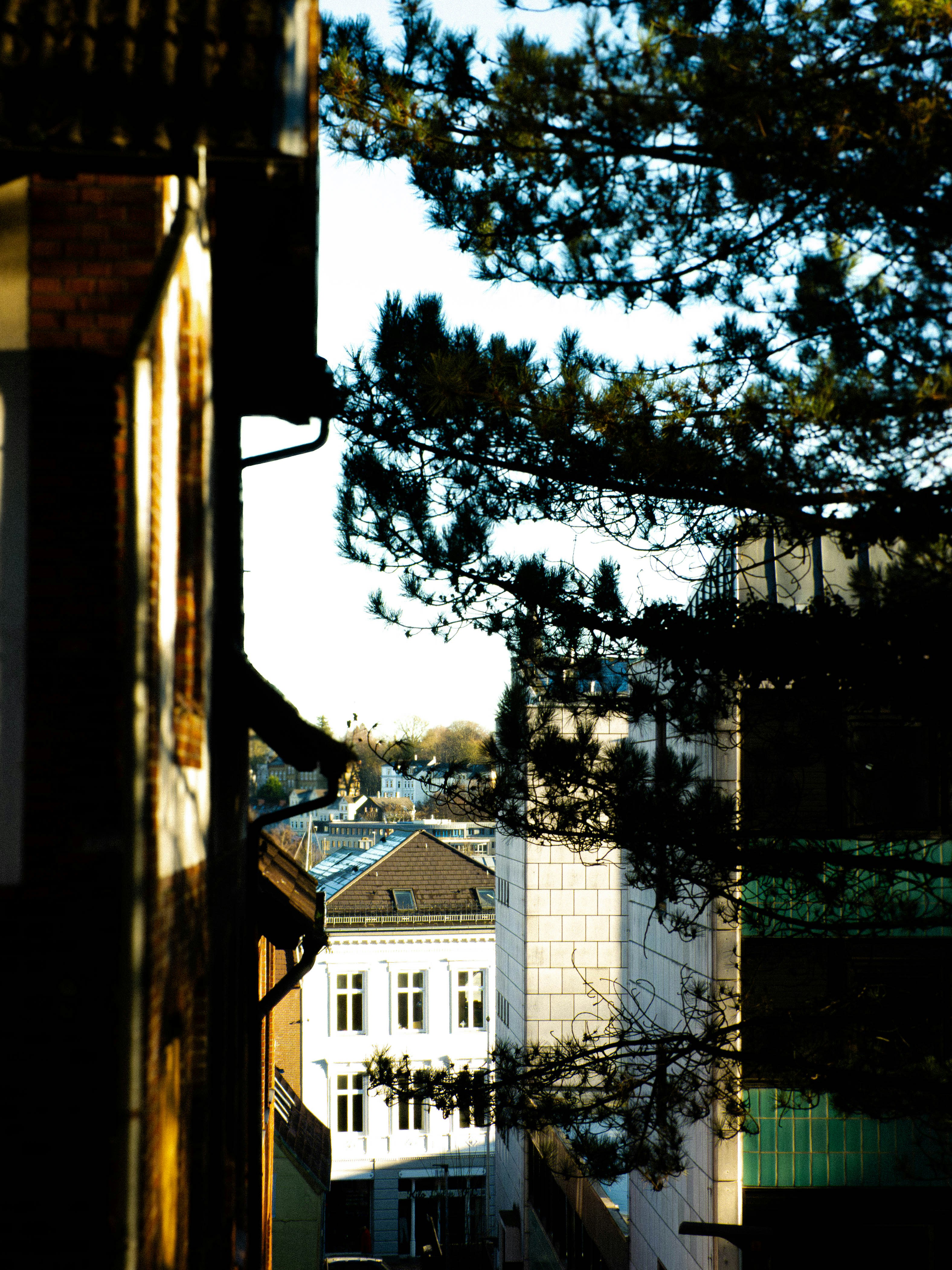 Photo by Max Feilner with Panasonic Lumix FZ100