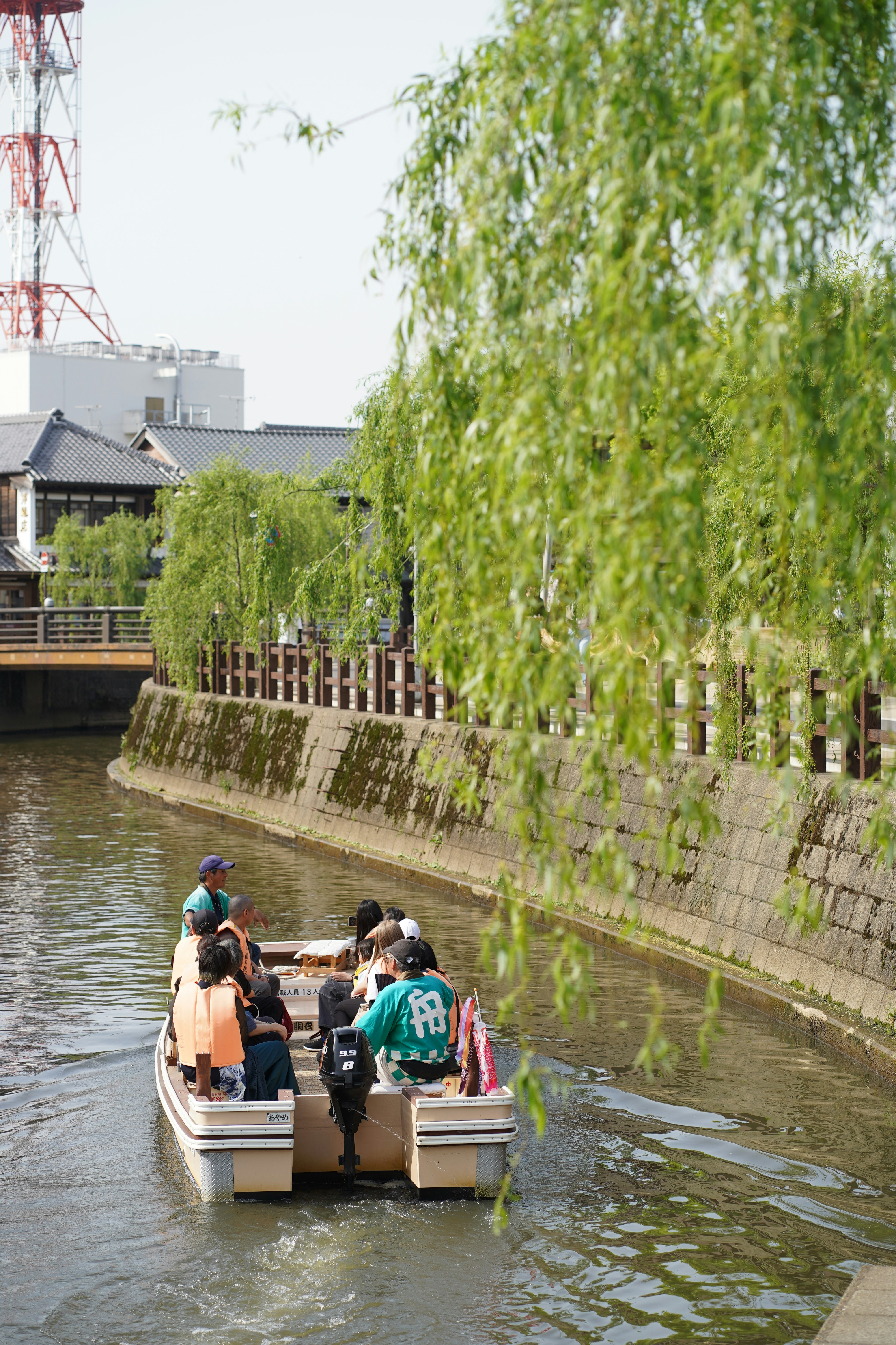 Dawn on the Riverside Tour: A Small Boat Full of Friends Glides Past a Willow Arboreal Curtain