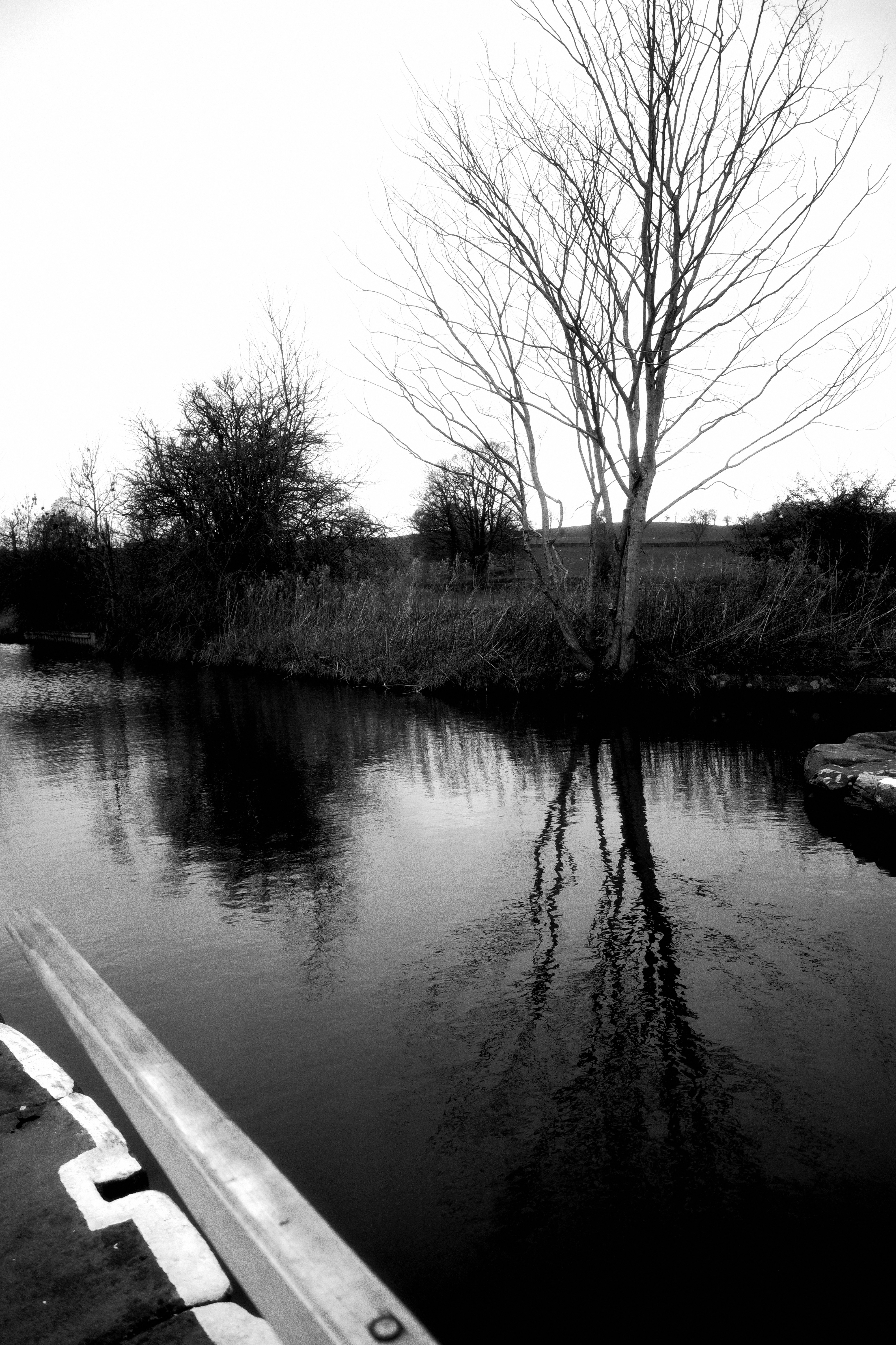 Photo by H with Ricoh GR III HDF