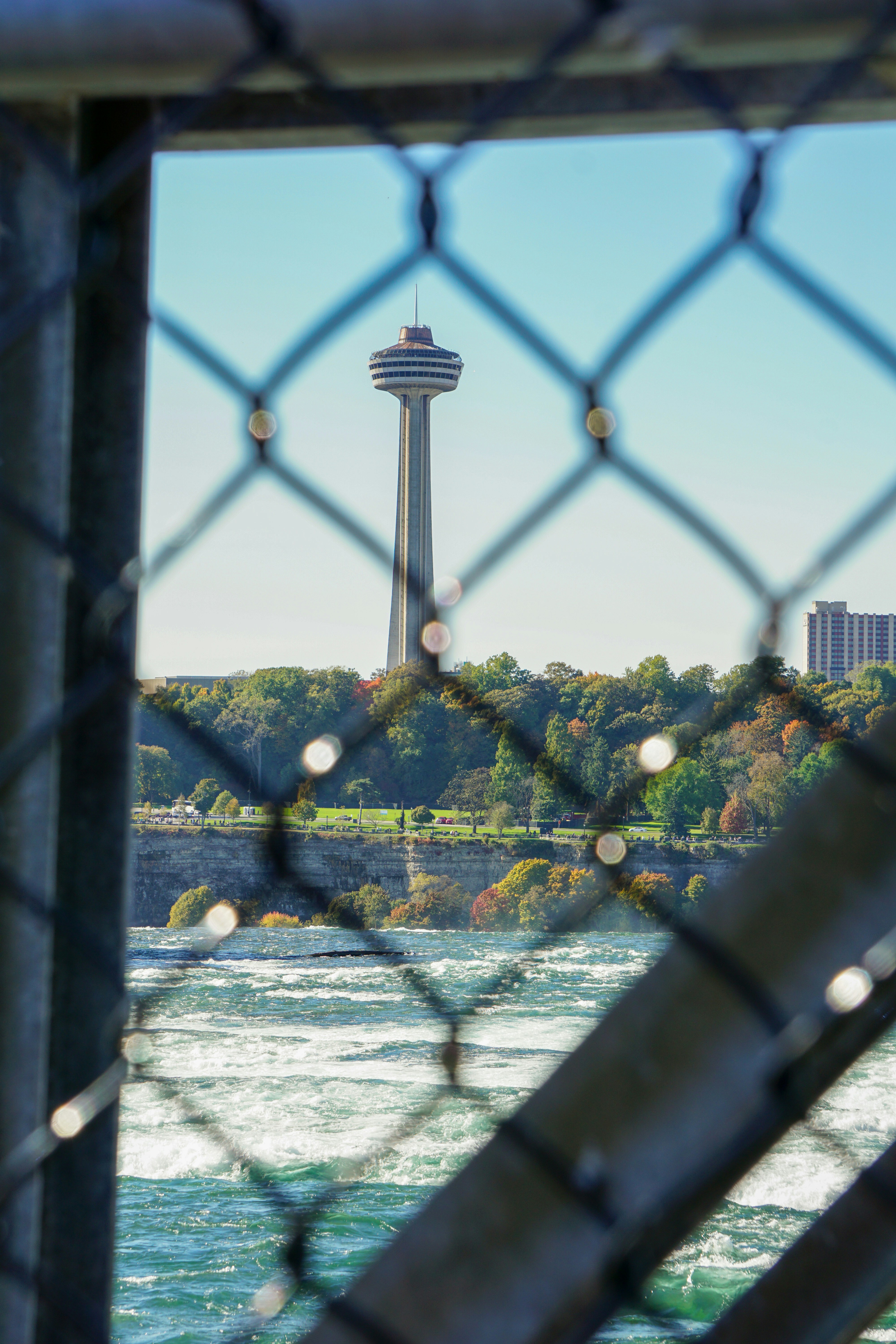 Tower Rising Beyond Diamonds: Toronto’s View Through a Chain-Link Frame