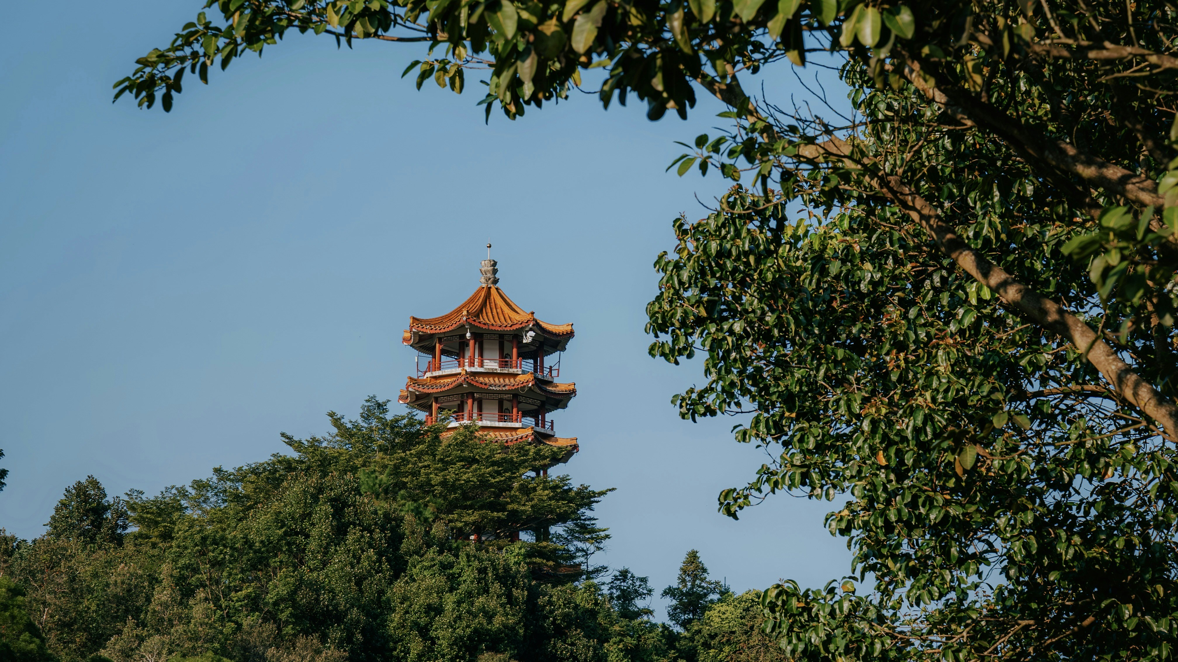 Photo by wang binghua with Nikon Z5 II