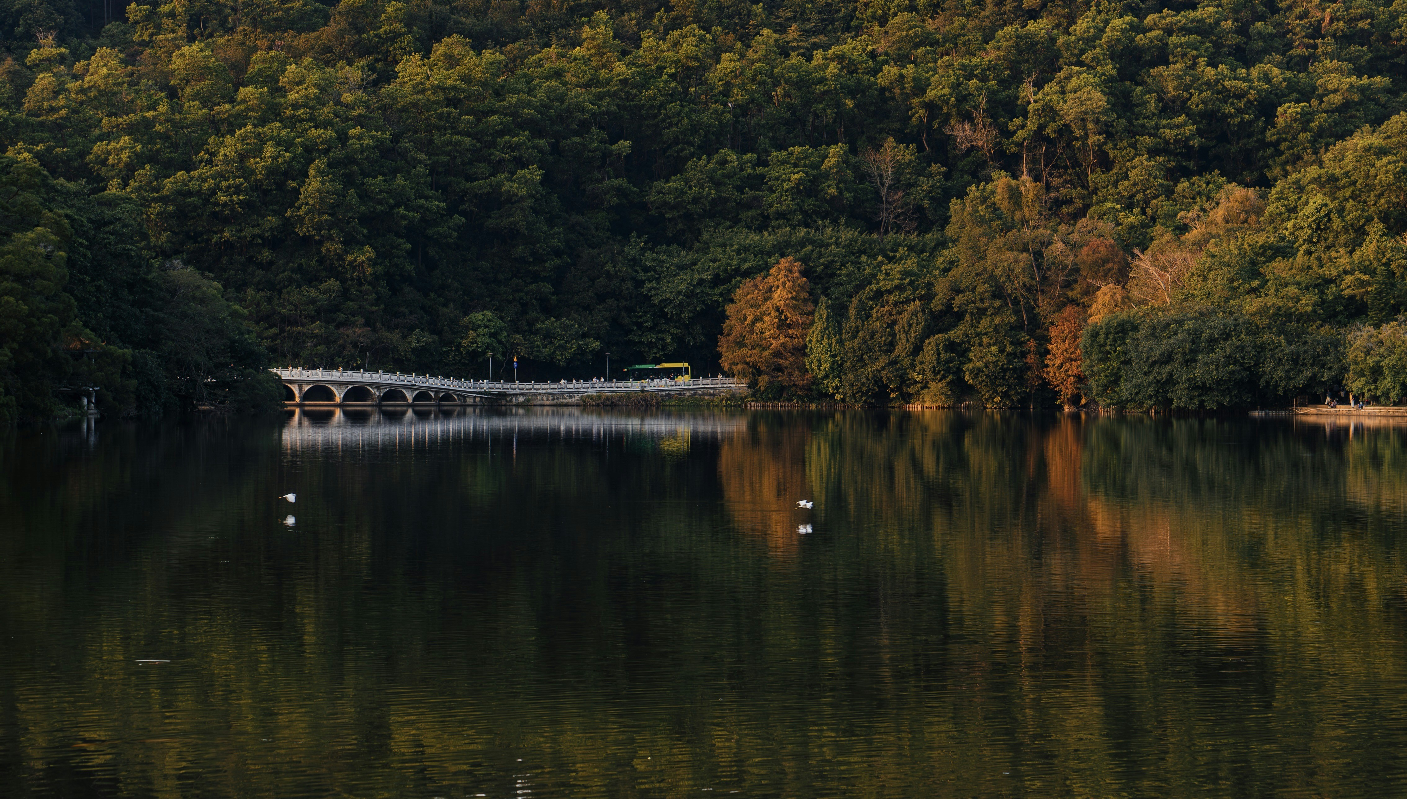 Photo by wang binghua with Nikon Z5 II