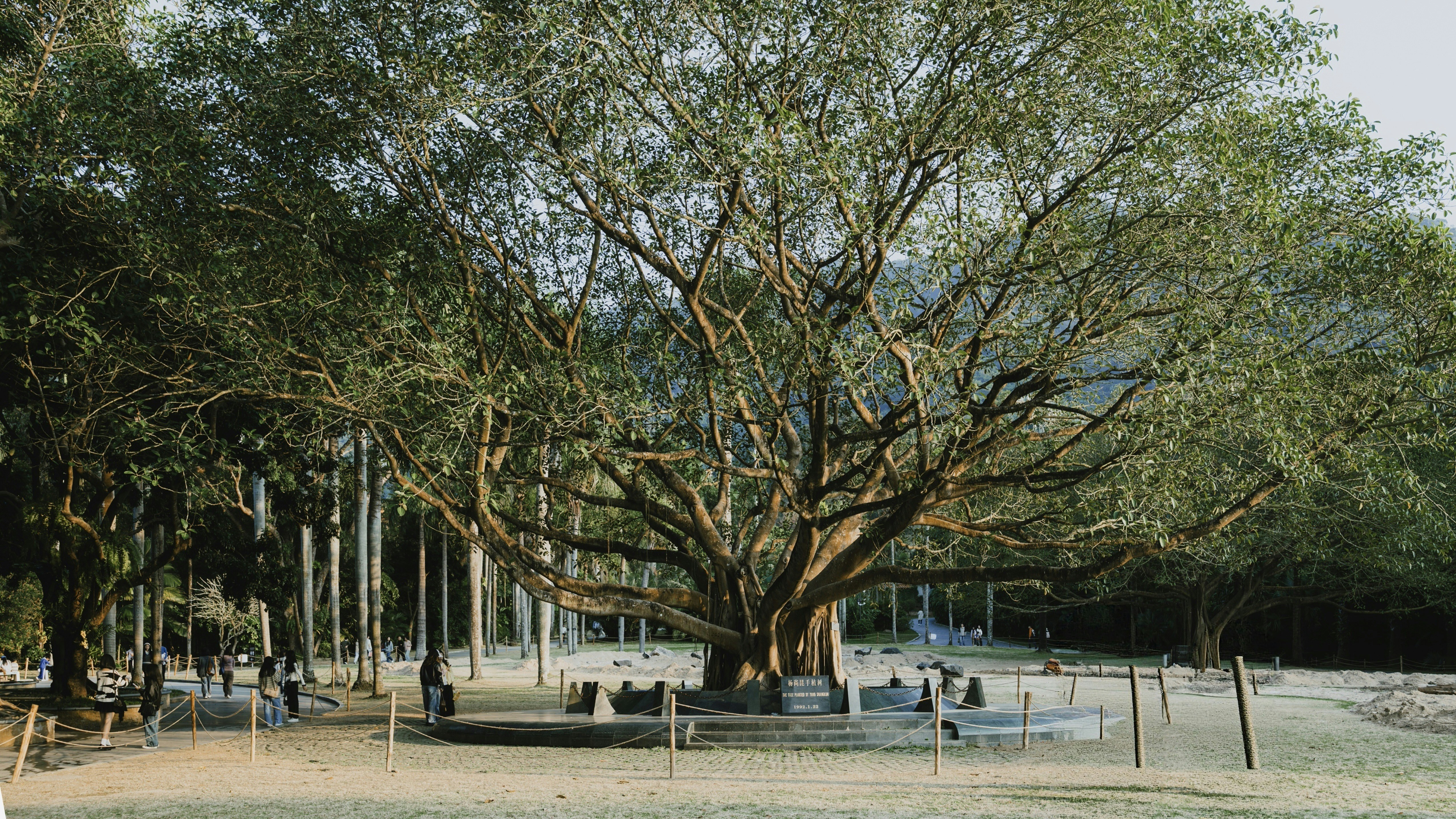 Photo by wang binghua with Nikon Z5 II