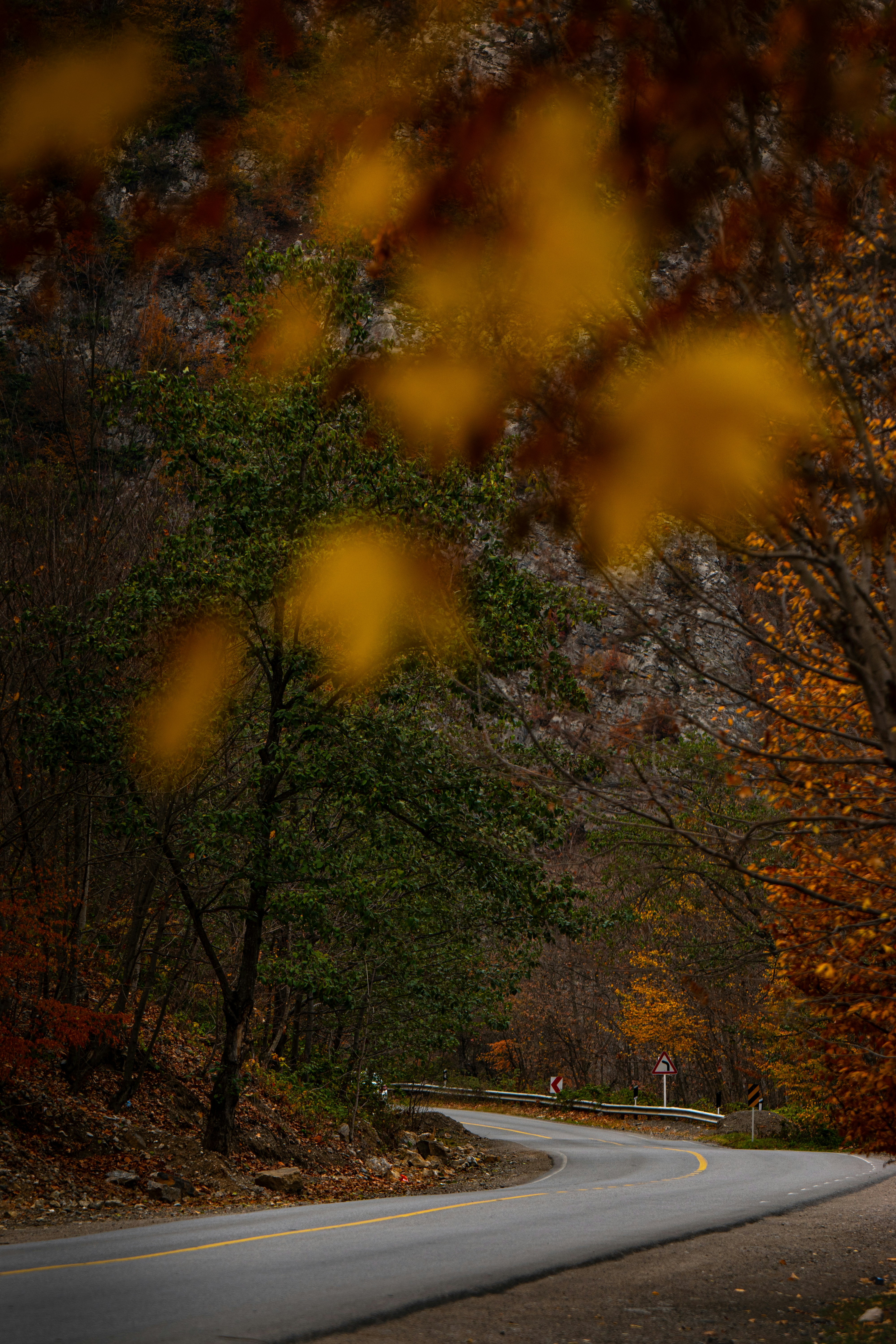 Autumn Roadway Curves Through a Quiet Valley