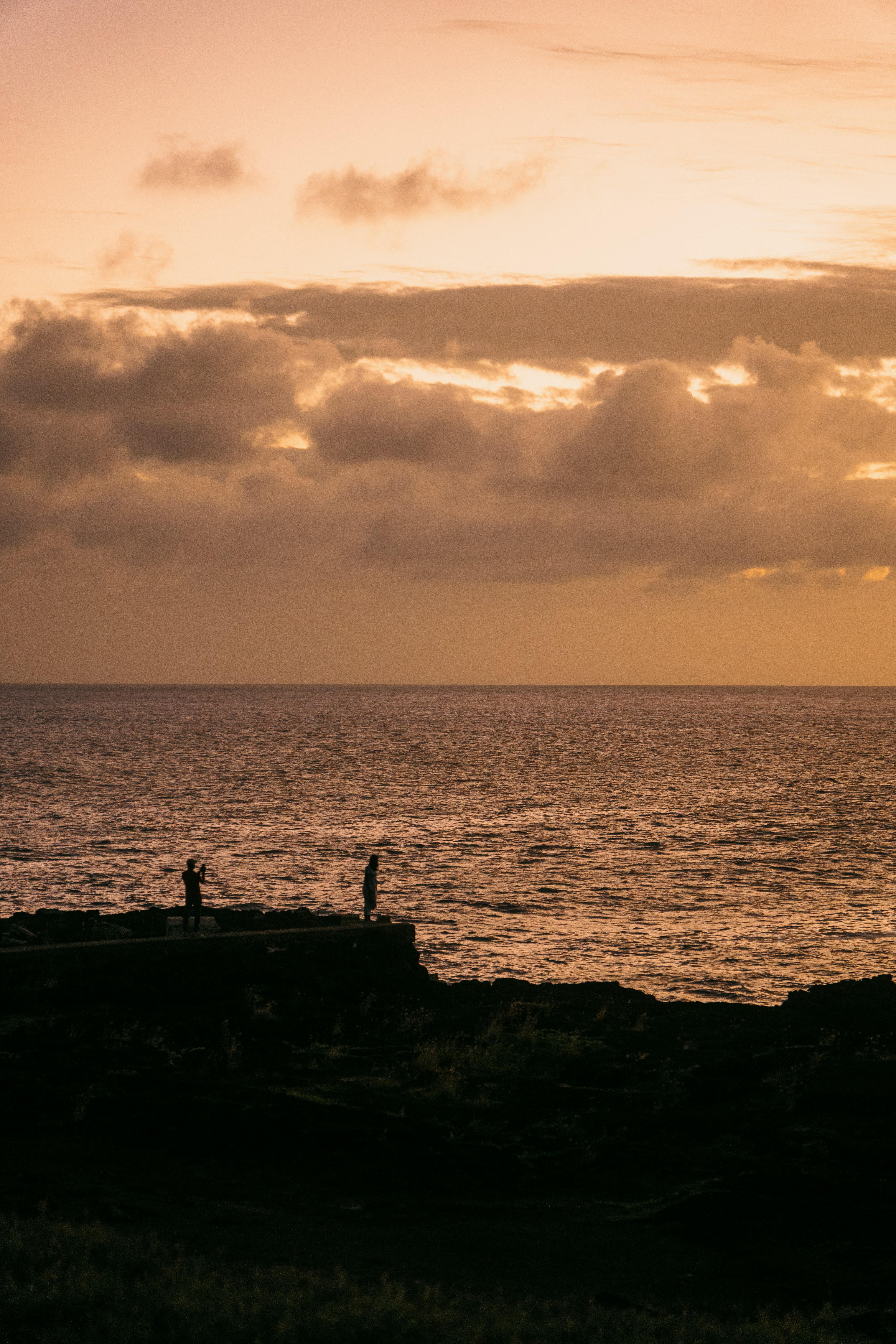Silhouetted duo at the edge of dusk over a calm sea