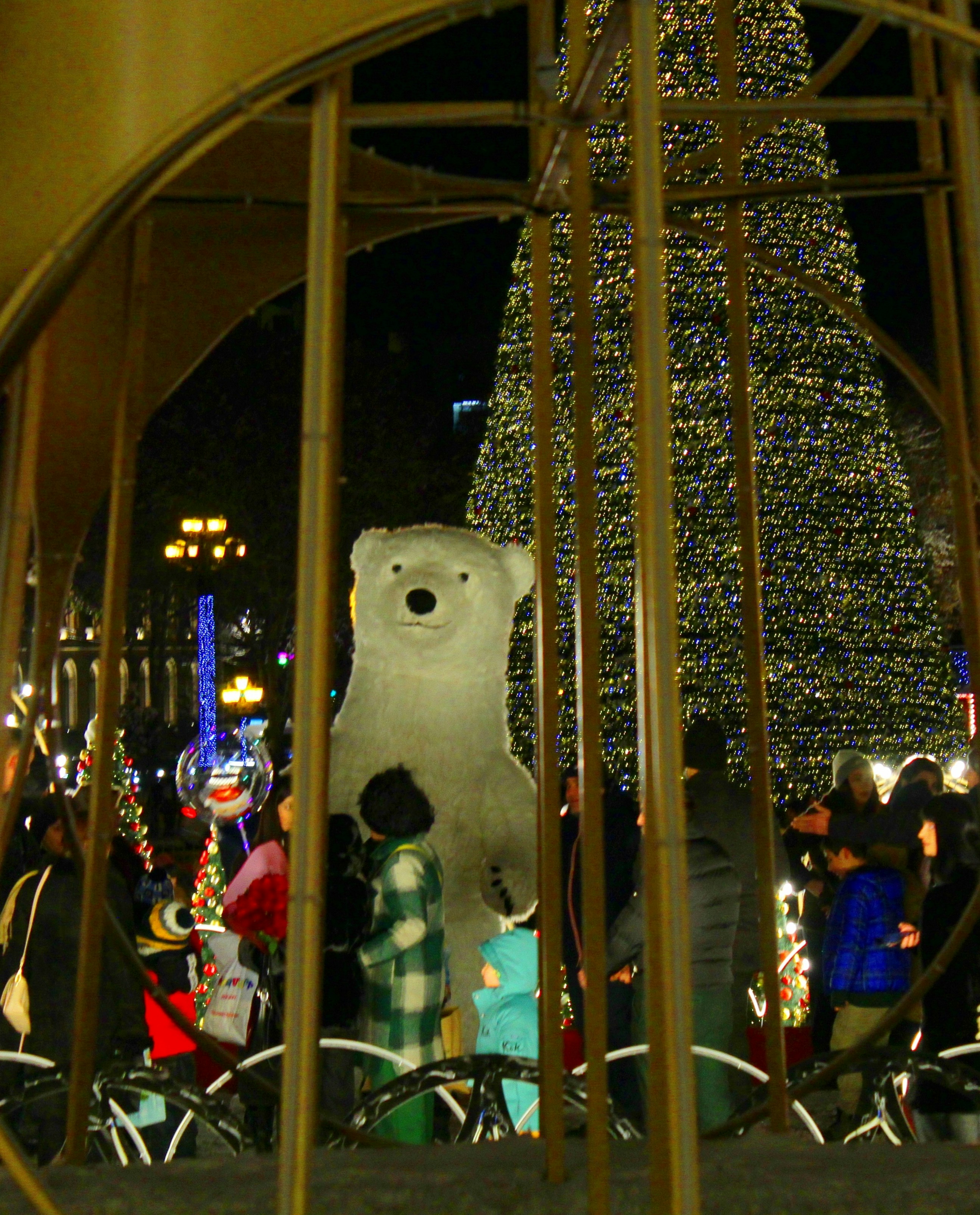 Polar Playland Under the Night Sky