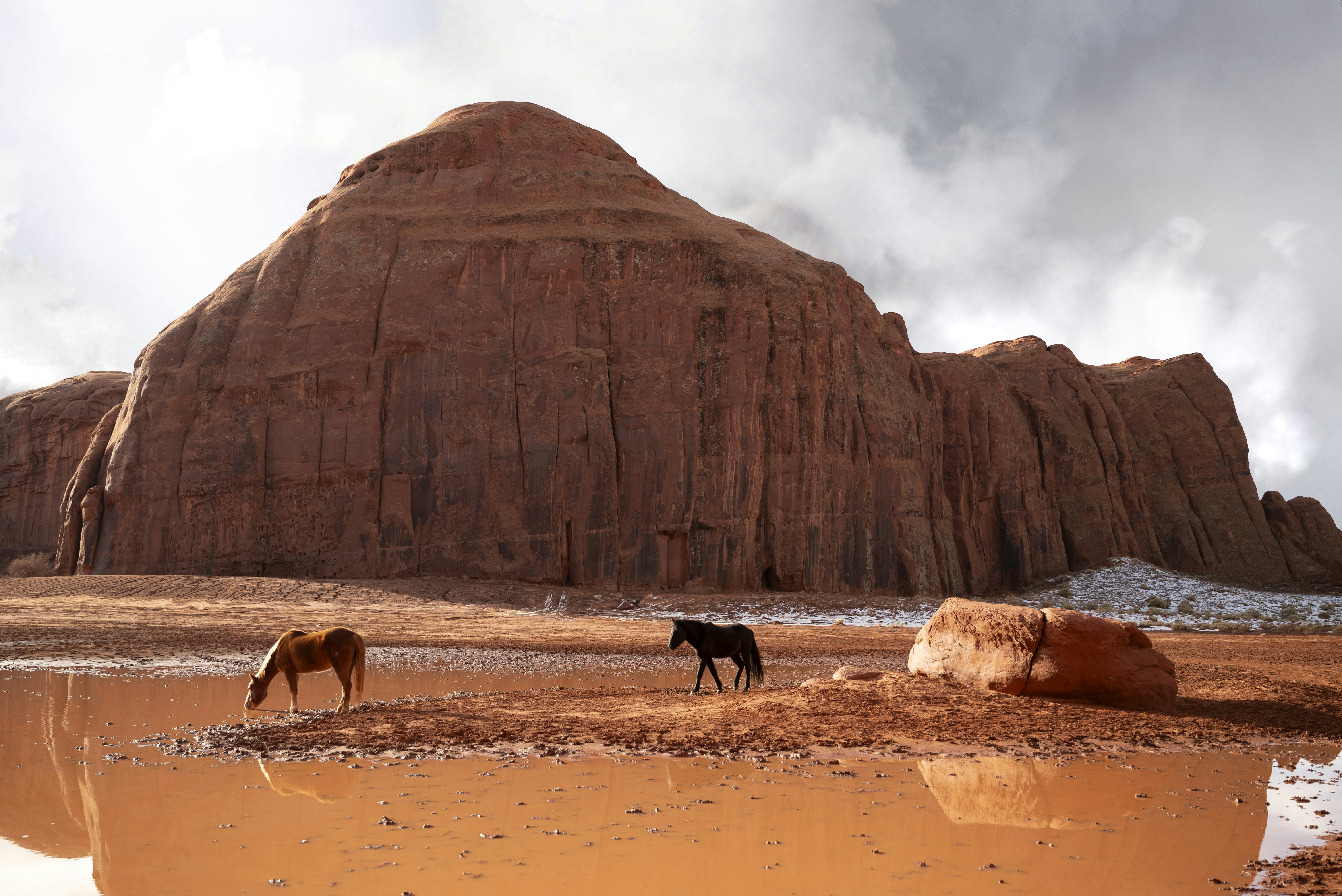 Horses on a Saline Shore beneath a Red Rock Monolith