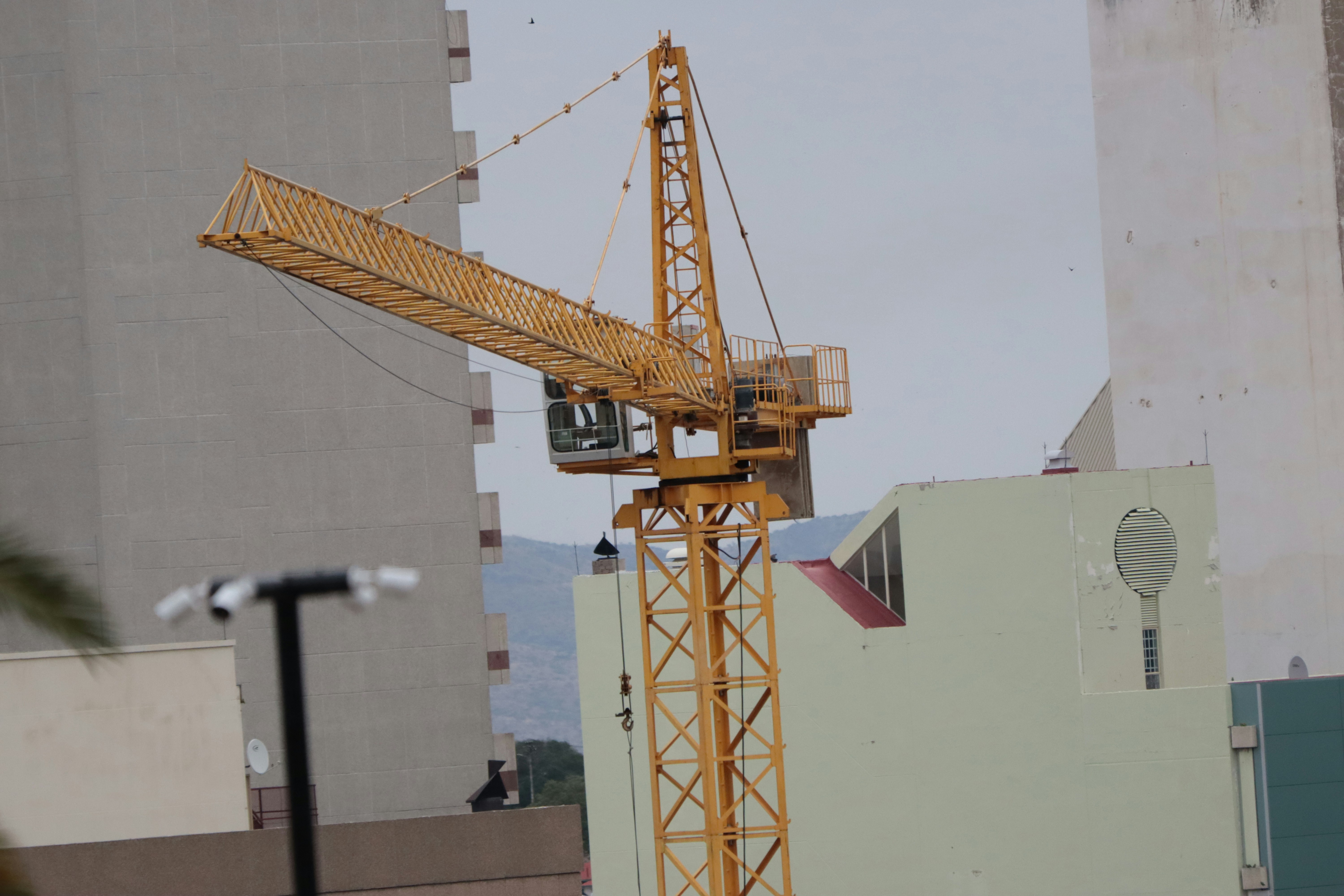 Photo by Luke Madziwa with Canon EOS 250D