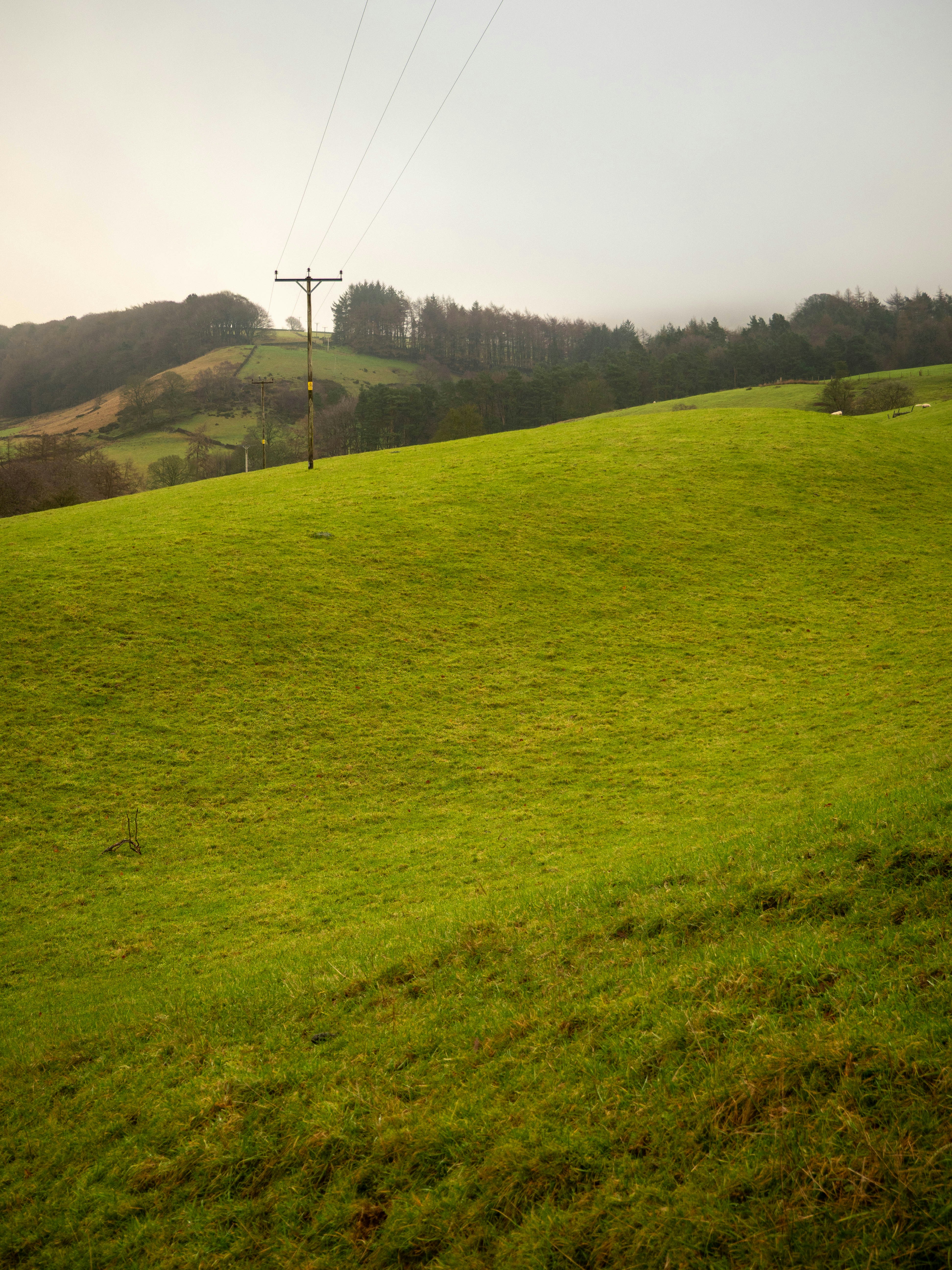 Power Lines over a rolling green hillside at dusk