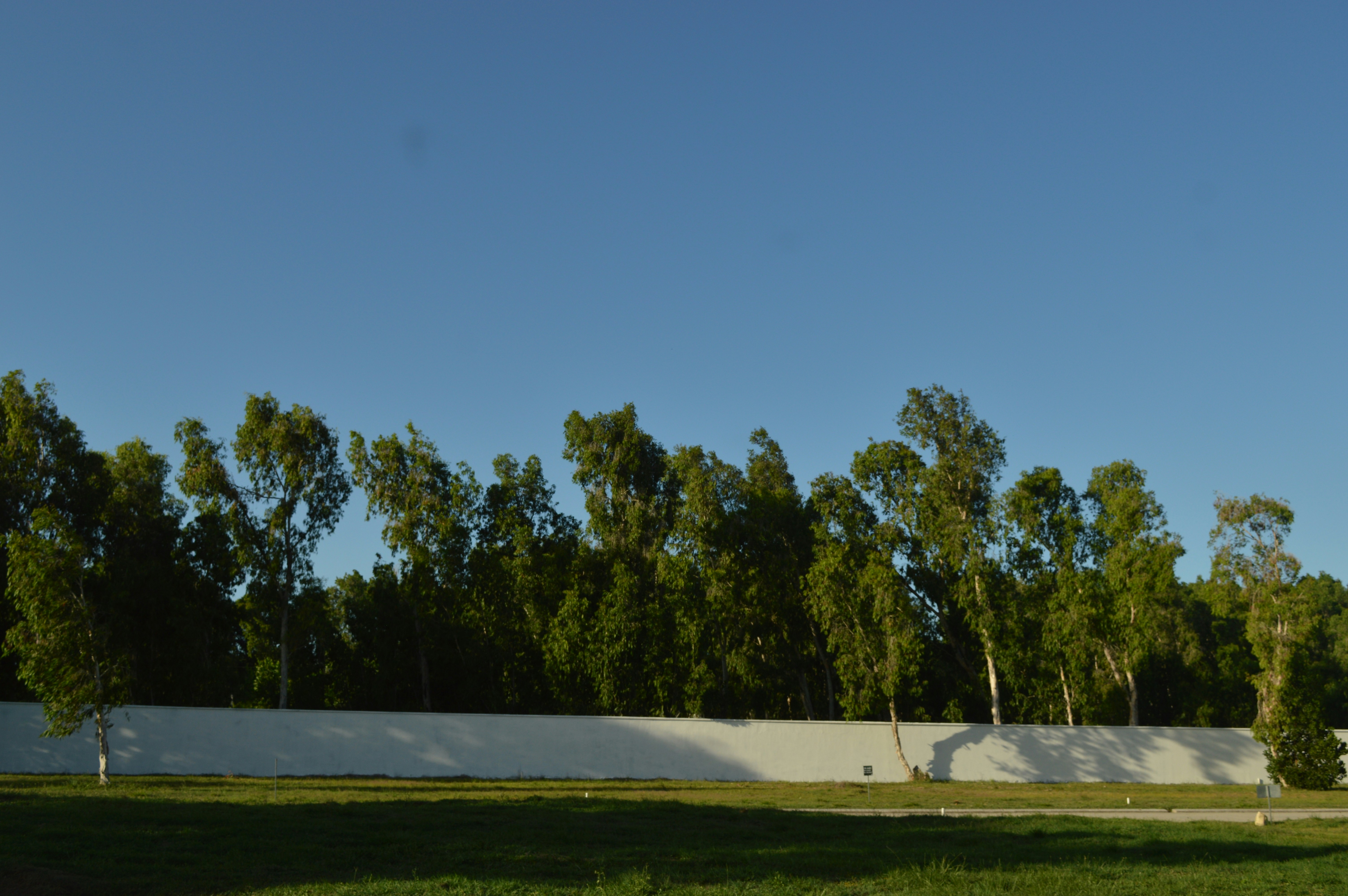 Marcelo Cruz (@mcruzaxis) | Komunitas Foto Unsplash