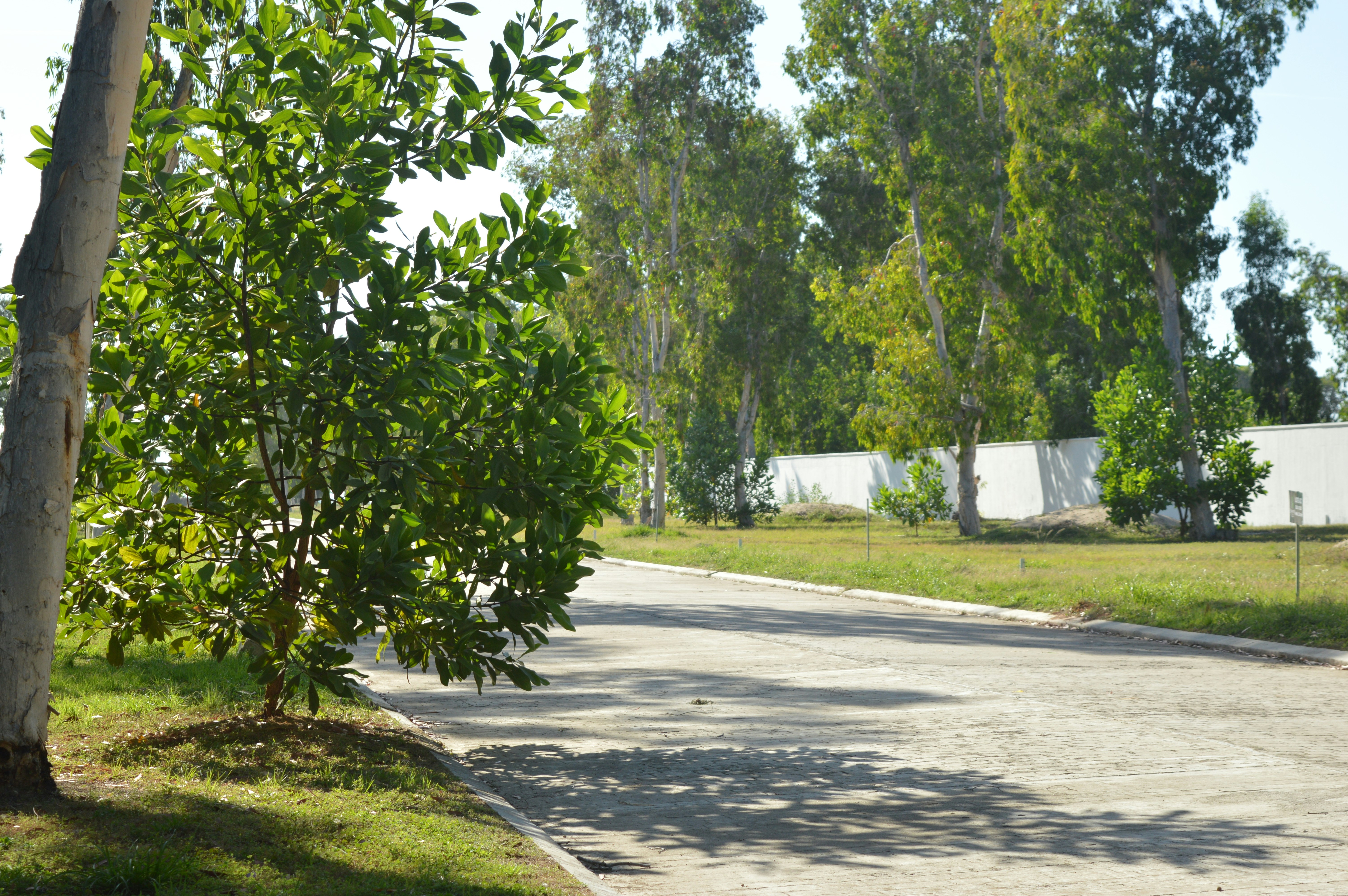 Marcelo Cruz (@mcruzaxis) | Komunitas Foto Unsplash