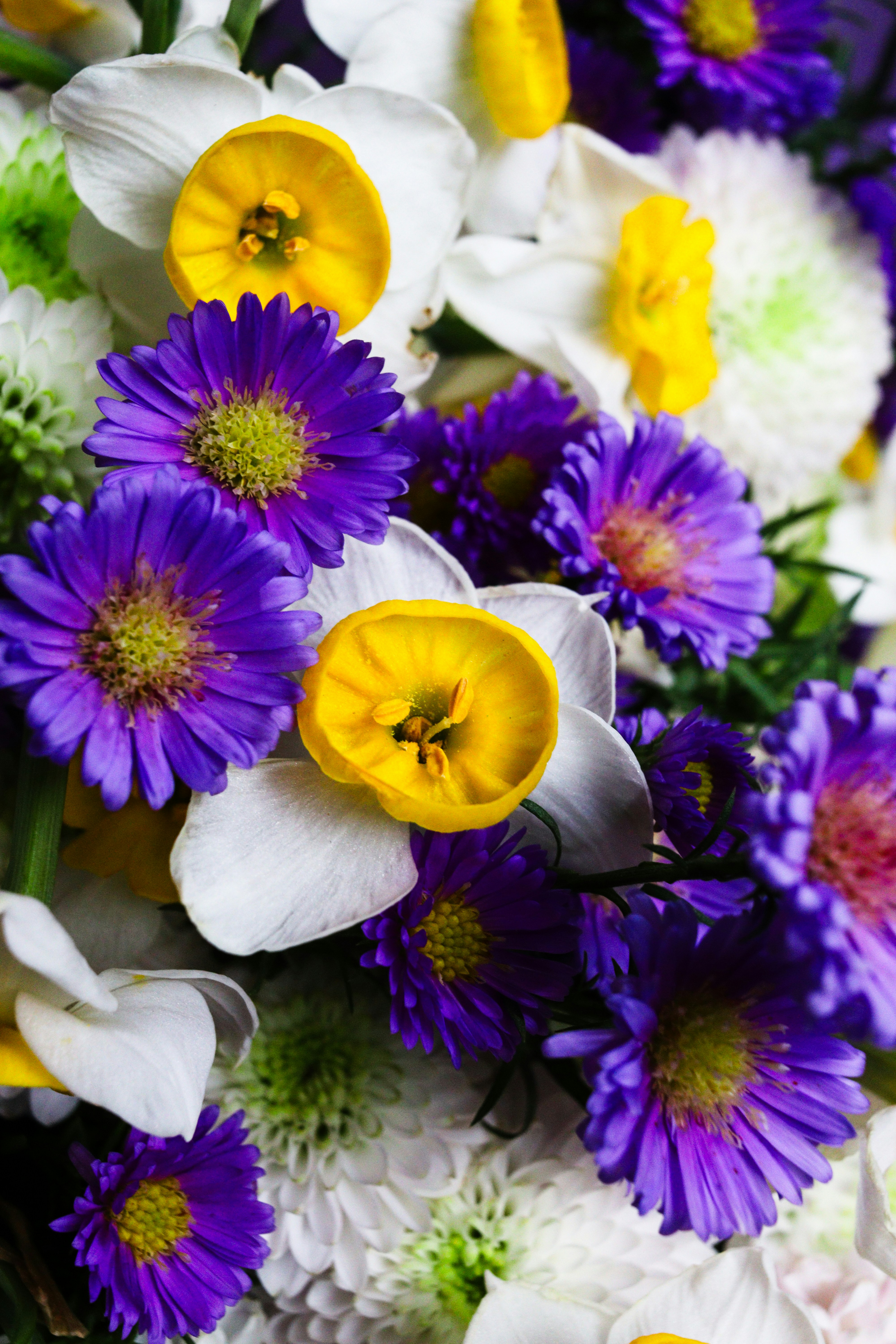 Vibrant Bouquet of Purple Asters and Yellow Calla Lilies