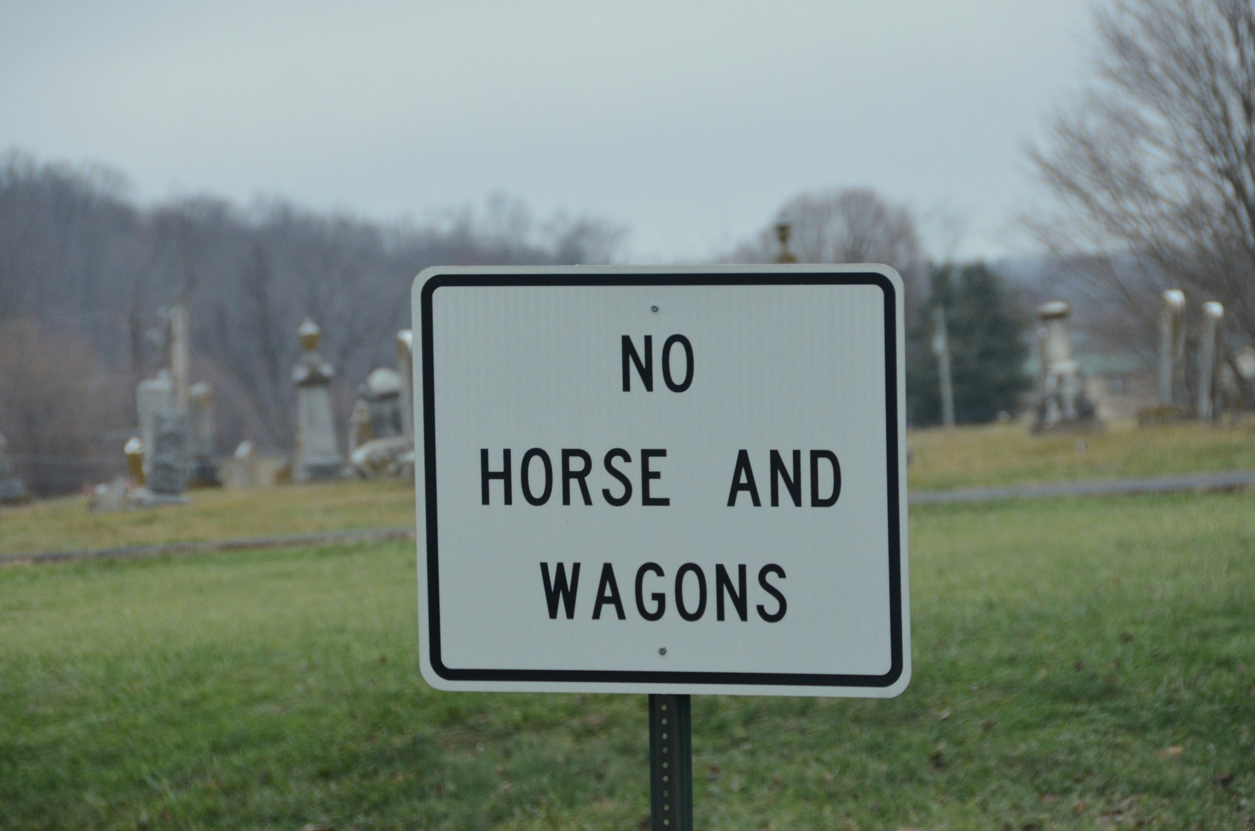 No Horse and Wagons: A Quiet Cemetery Sign Beneath Overcast Skies