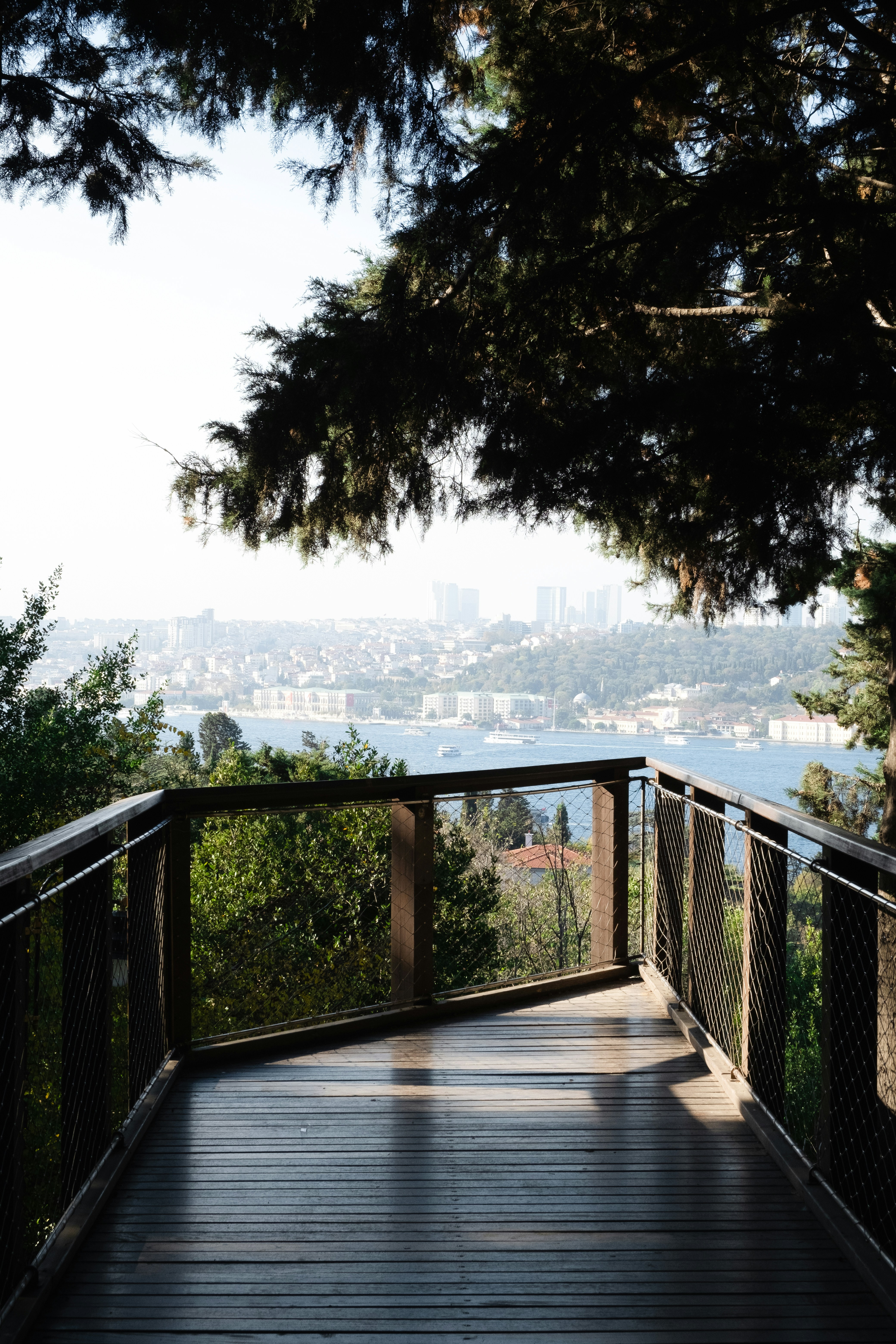 Deck Overlook: Framing the City Beyond the Trees