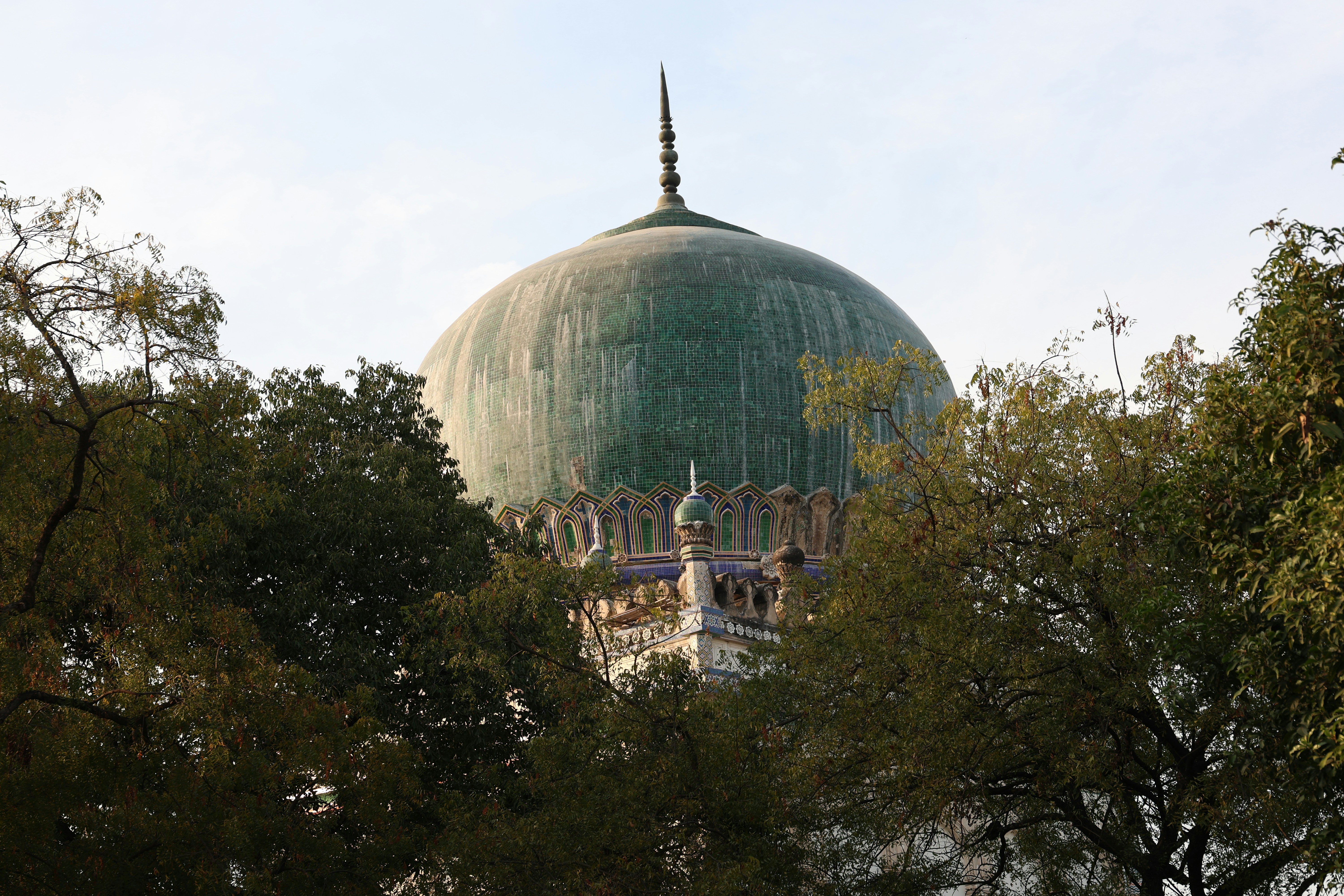Hidden Dome Rising Above the Foliage