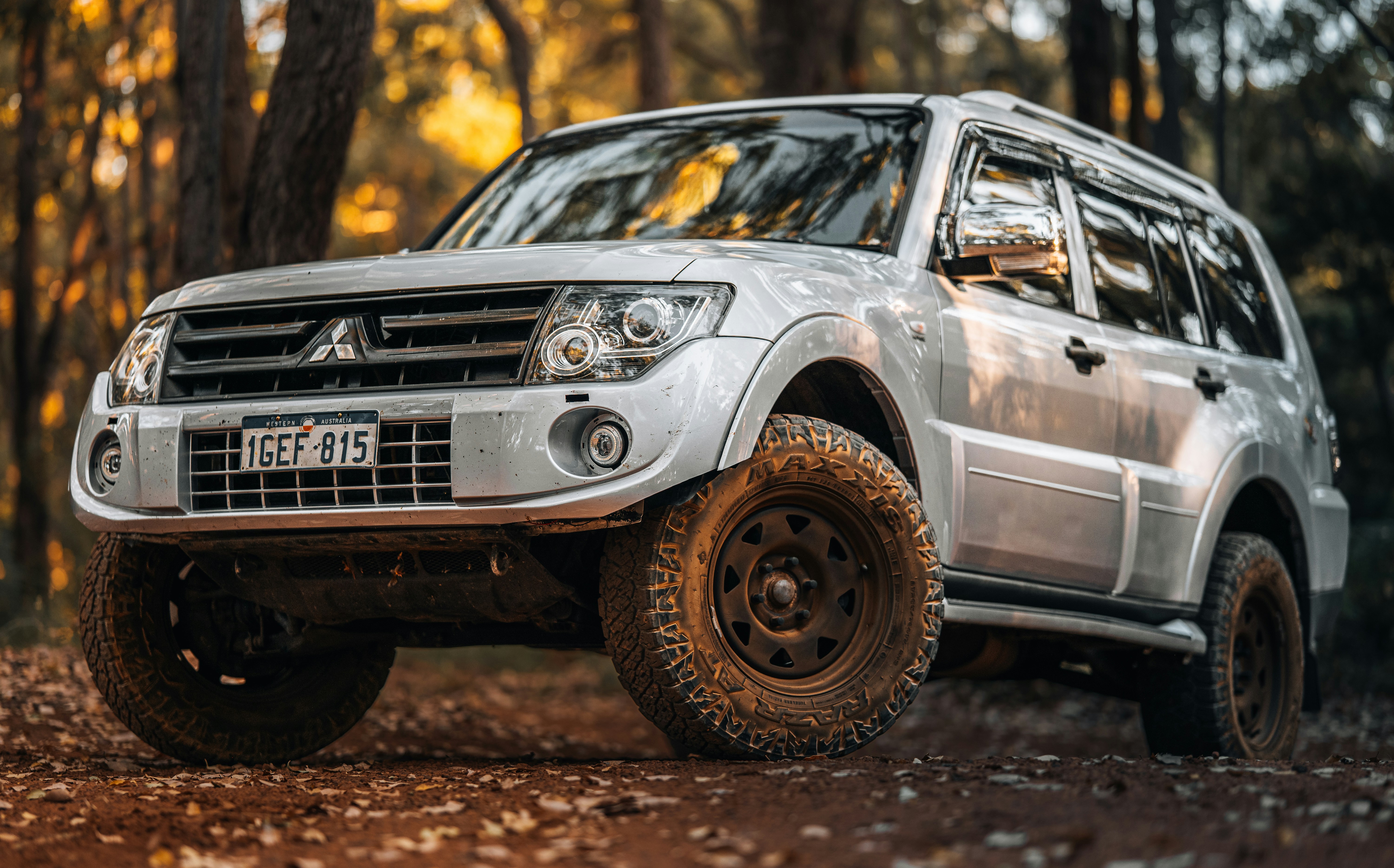 White off-road SUV in a sunlit forest, front-left wheel cresting a leaf-strewn trail