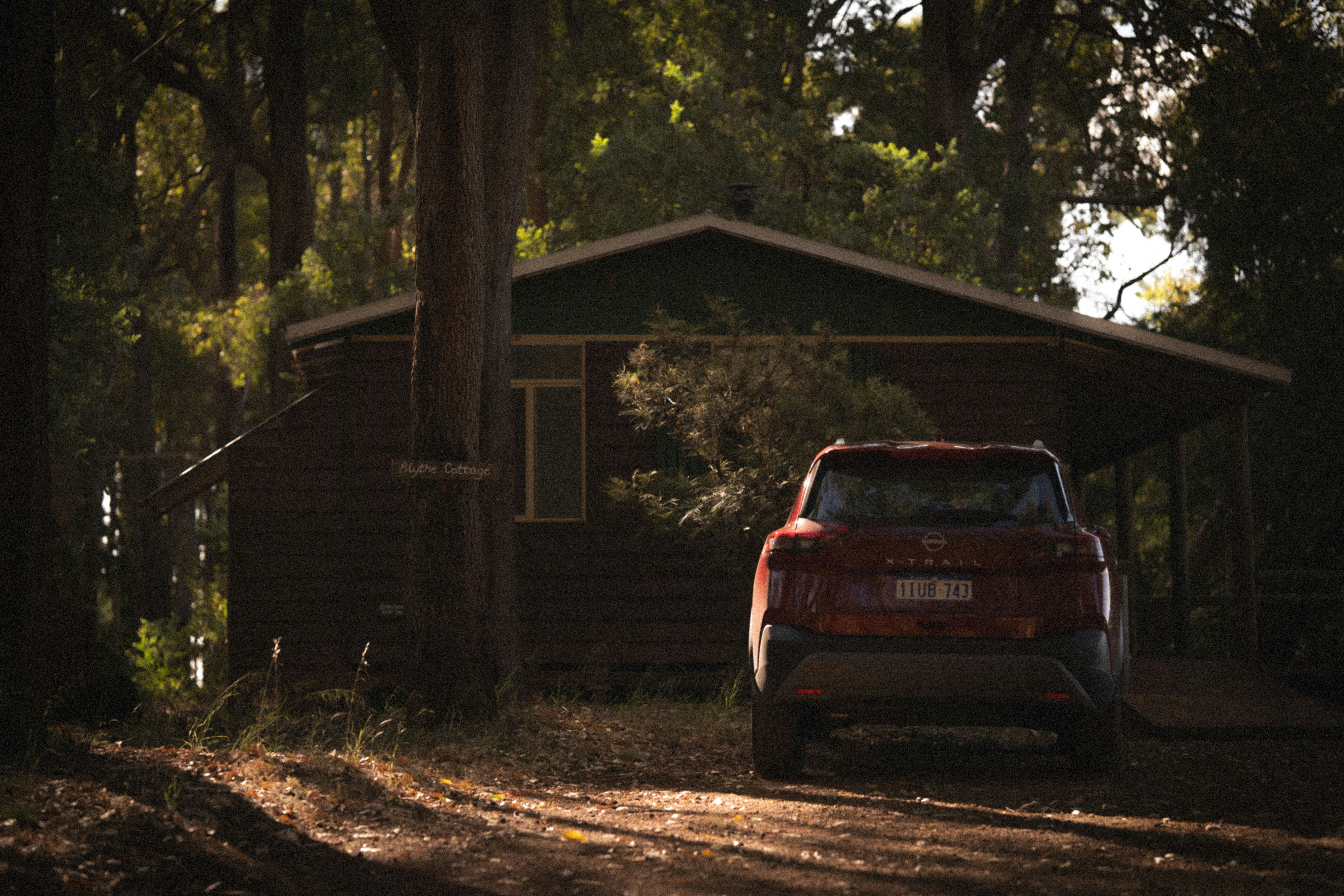 Red SUV at Dappled Cabin: A Quiet Forest Drive