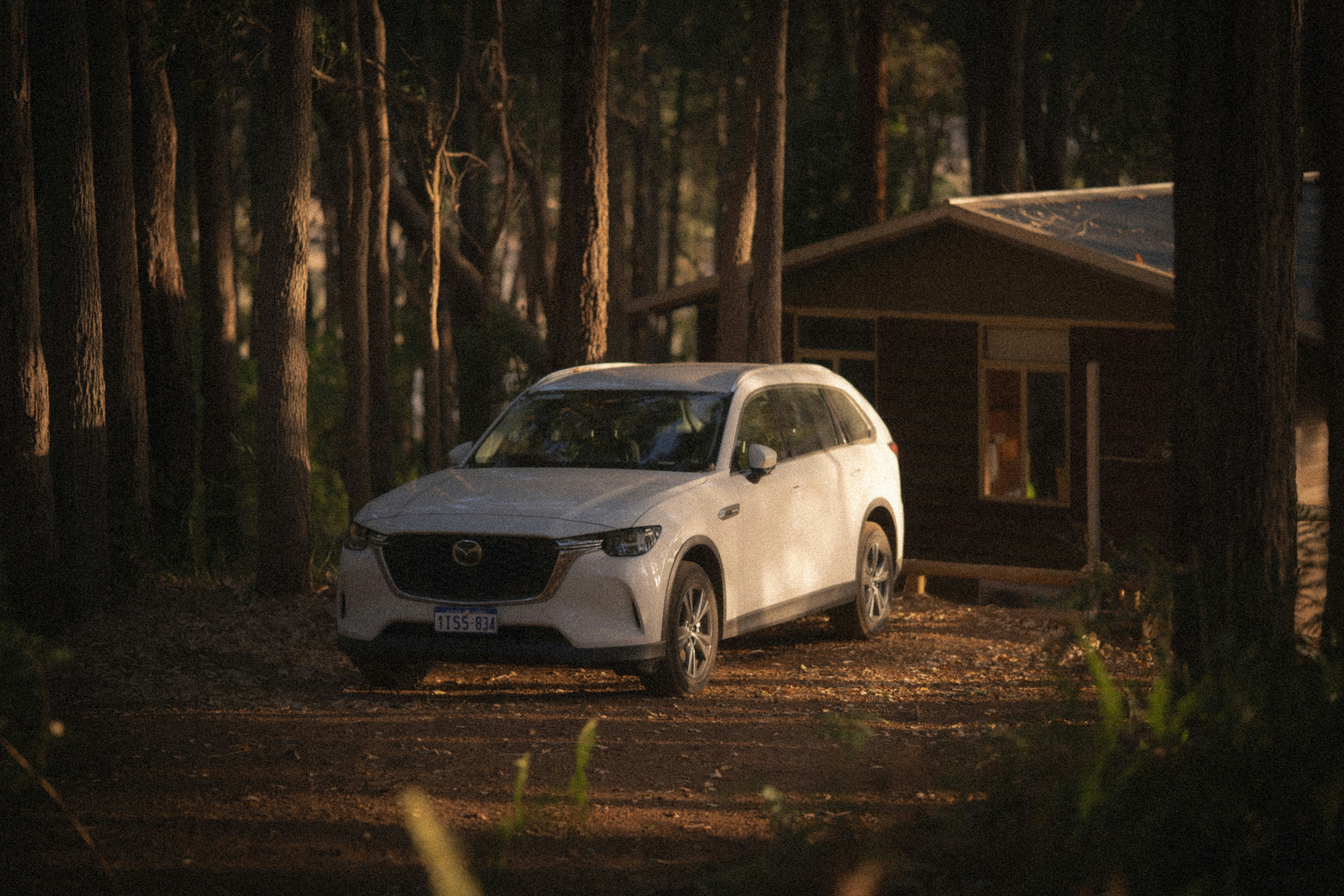 White SUV Resting by a Woodsy Cabin at Dusk