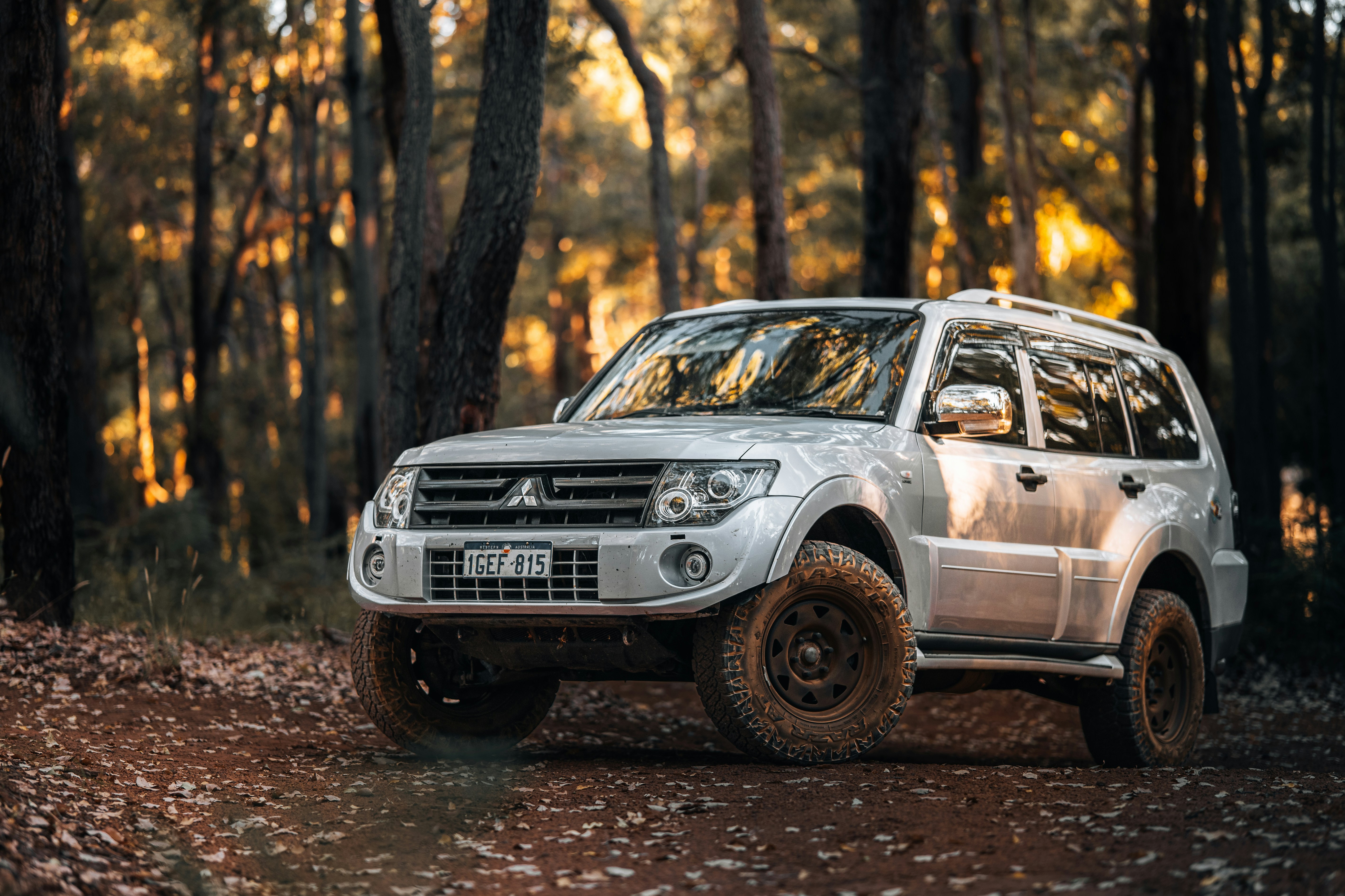 Mud-Splashed SUV Under Autumn Canopy